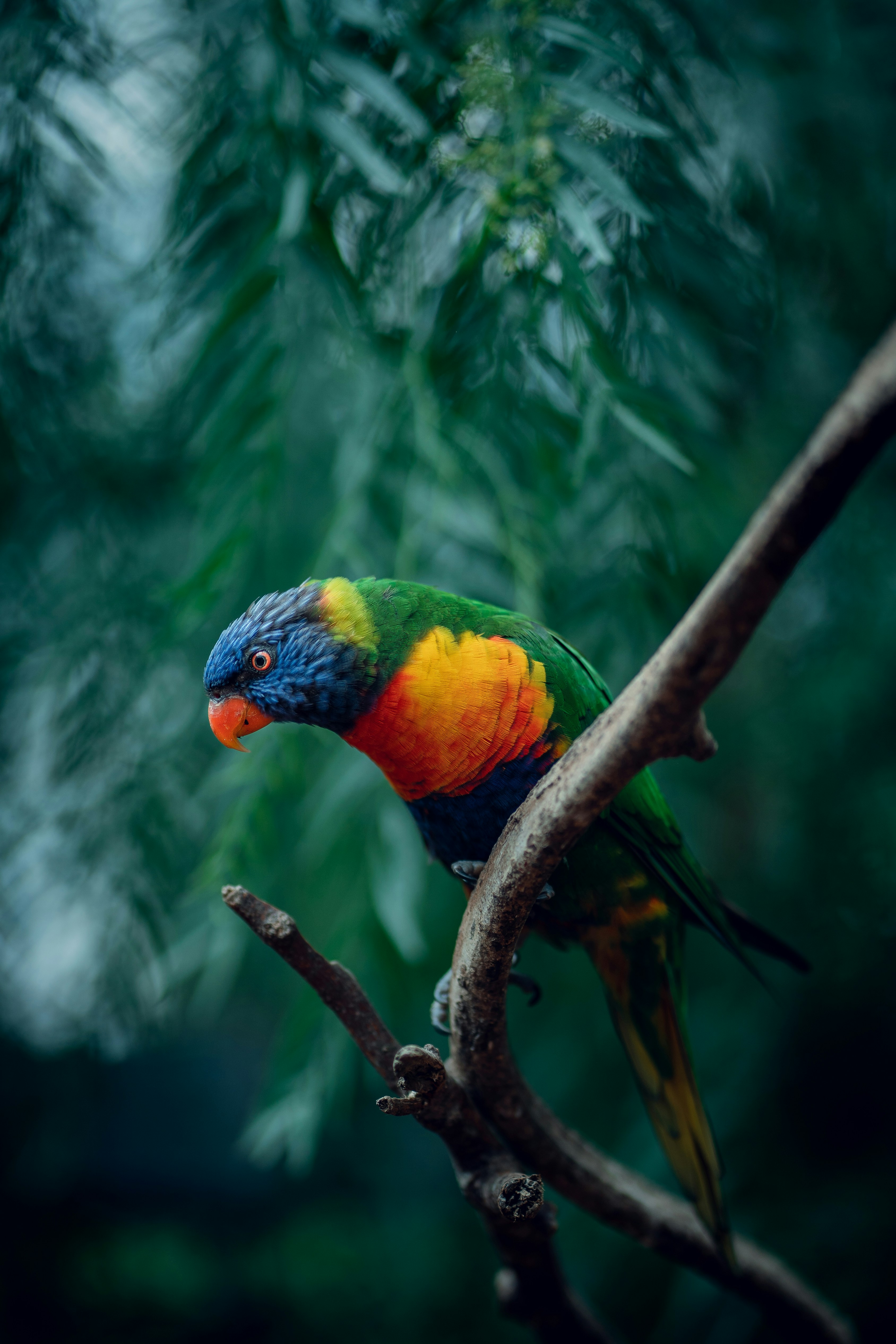 30,000+ Color Nature Pictures | Download Free Images on Unsplash