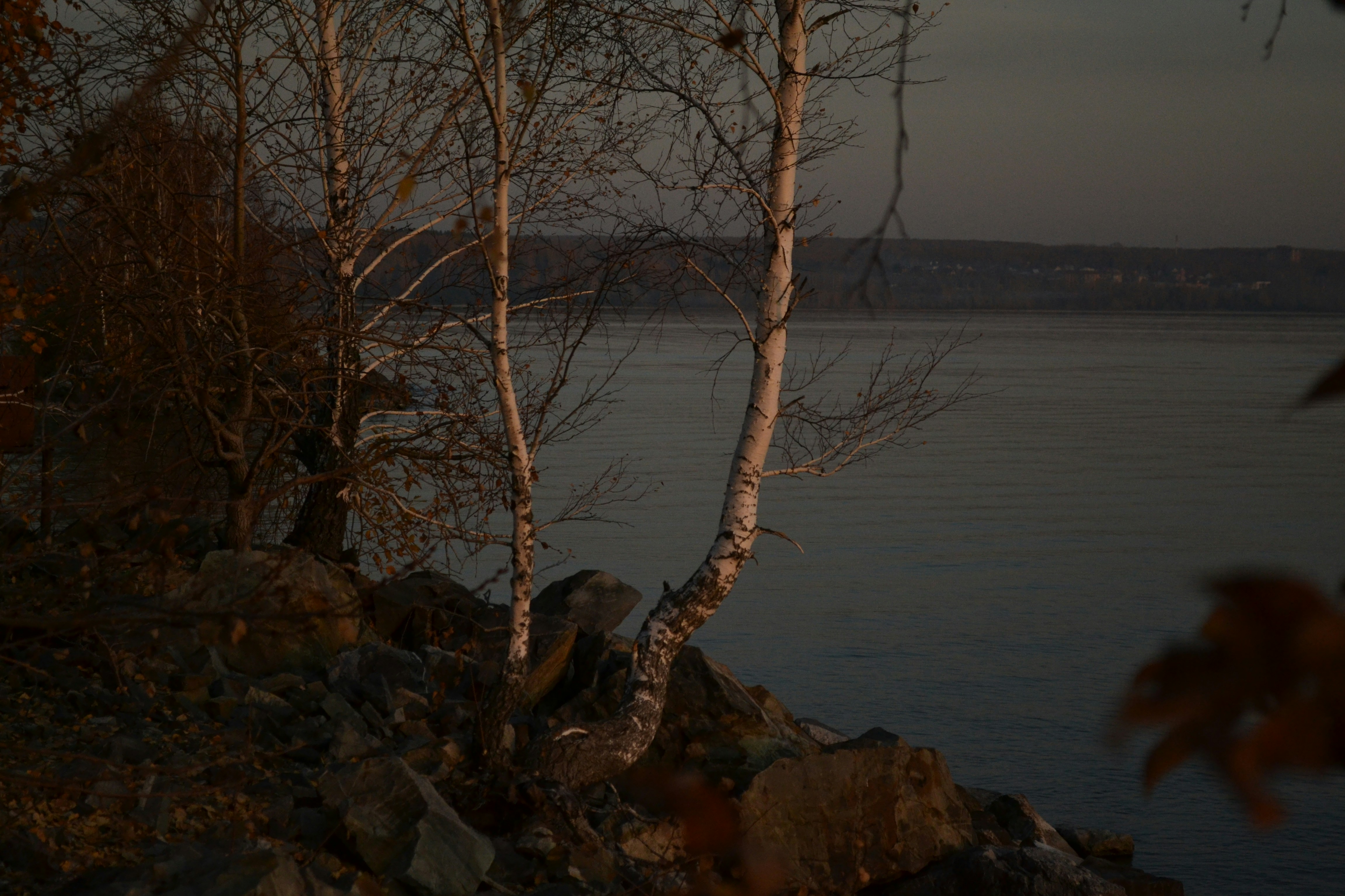 Photo by Irina Op with Nikon D3100