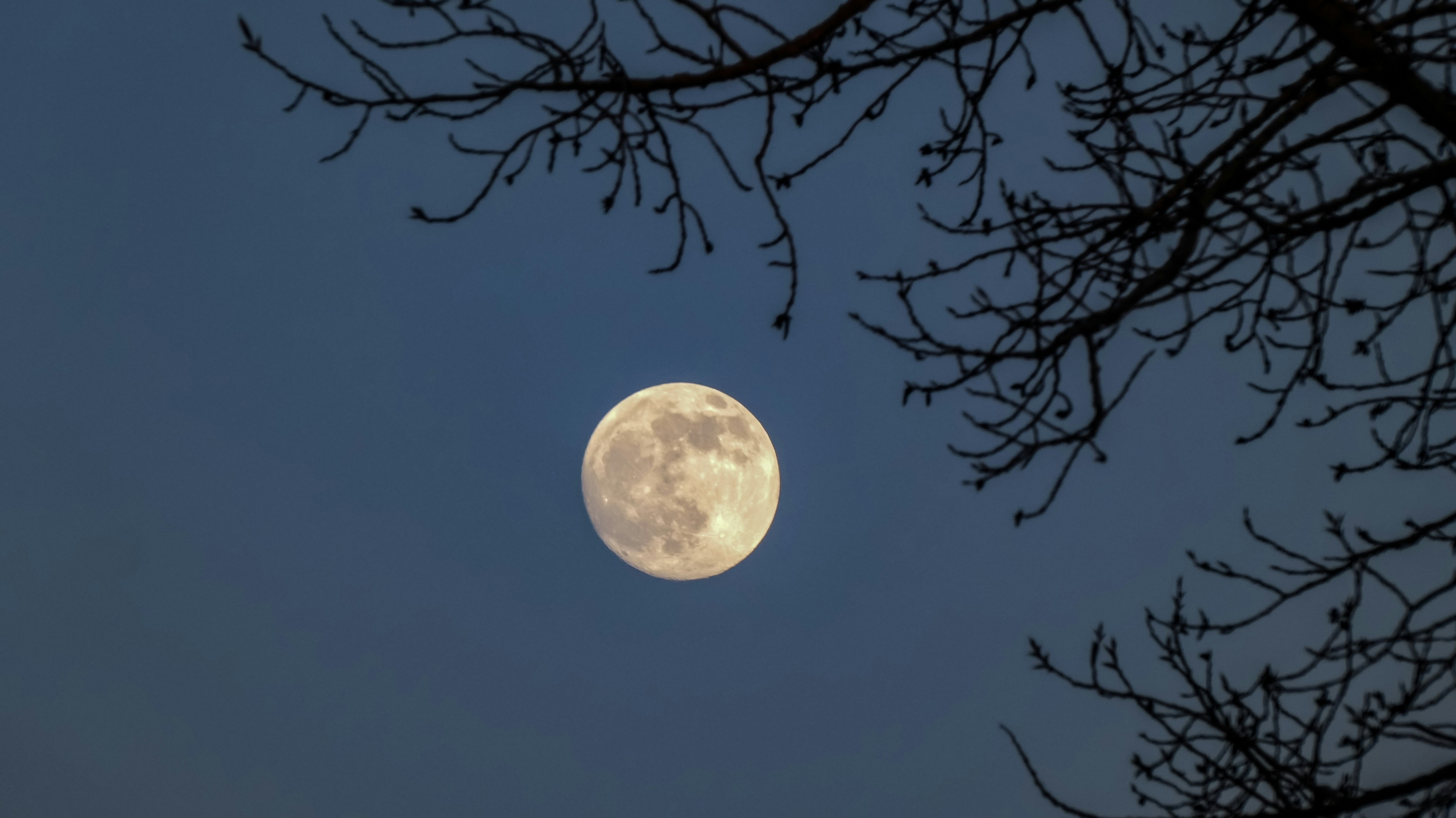 A full moon in the sky photo – Free Calgary Image on Unsplash