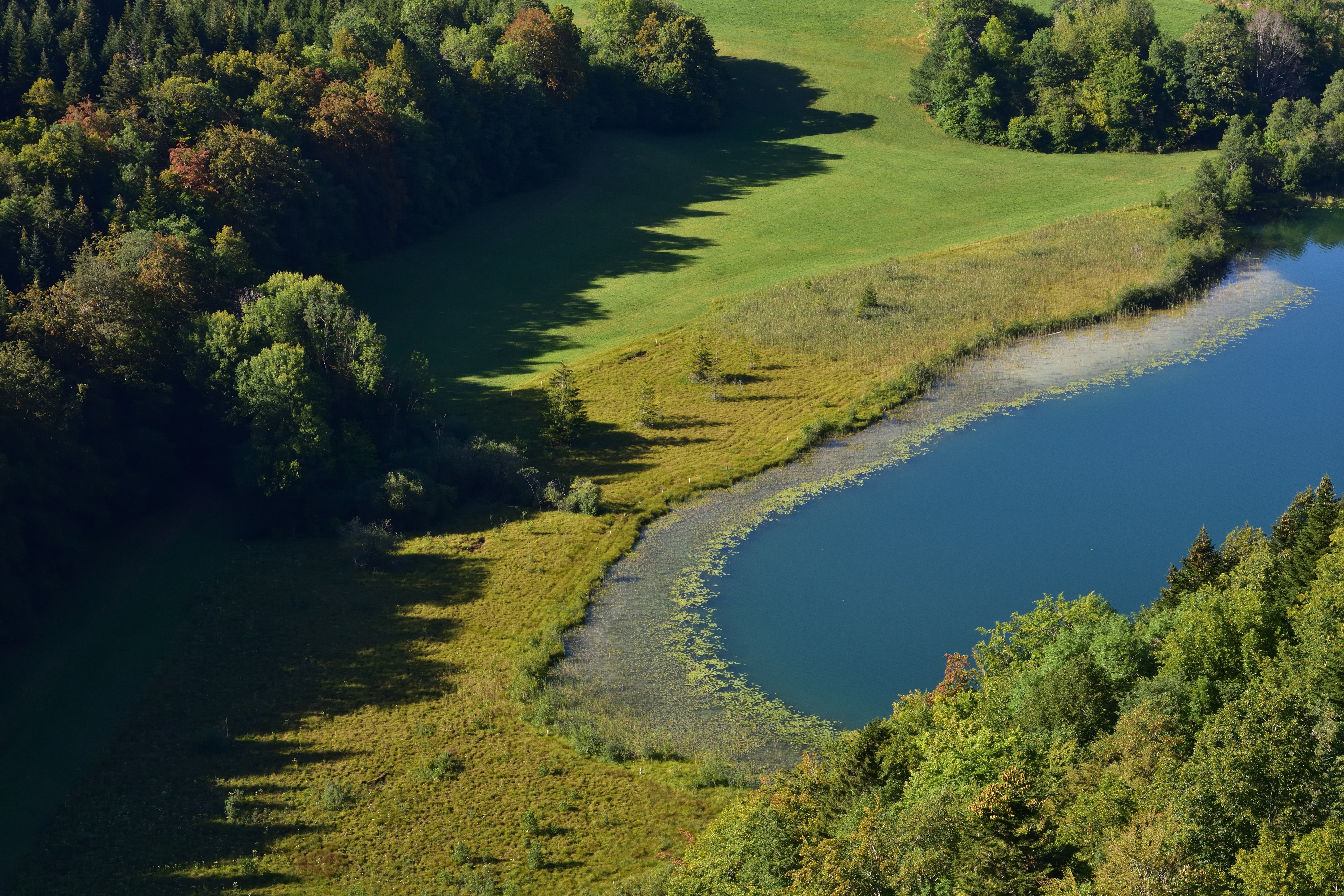 A river running through a forest photo – Free Jura Image on Unsplash