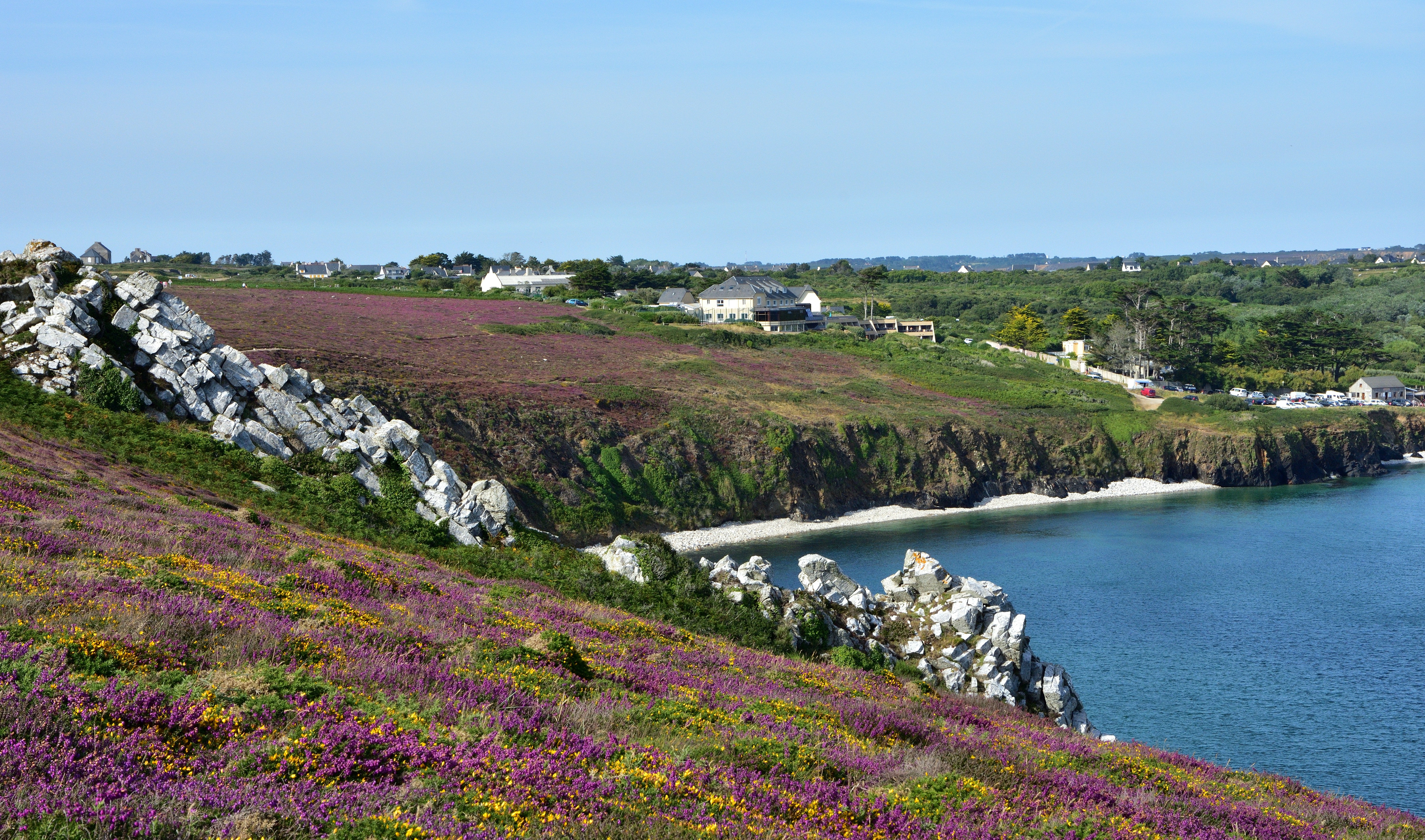 Coastal Lavender Cliff and Quiet Village Beyond