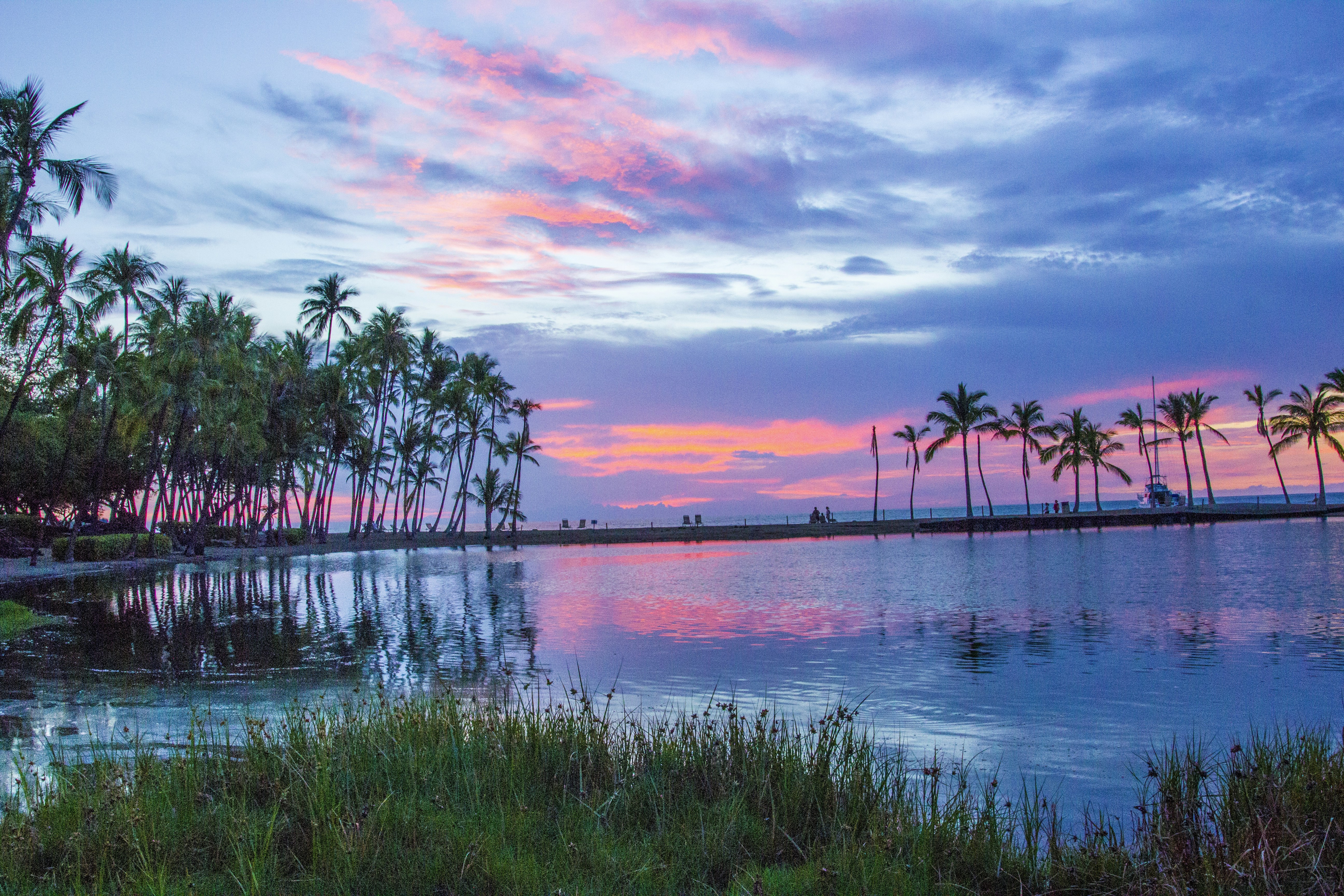 Twilight Reflections by the Palm Grove