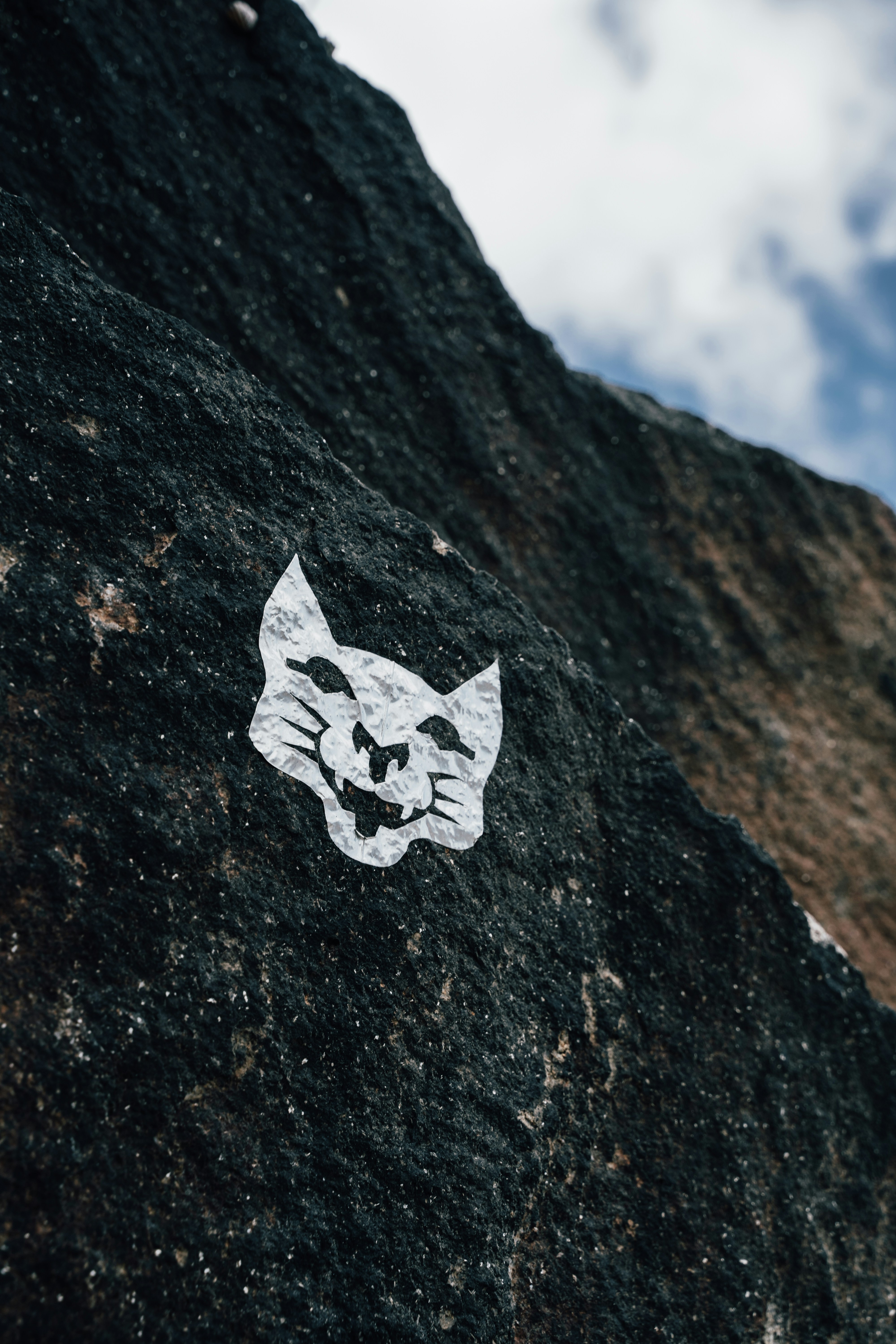 A playful white cat illustration affixed to a rugged rock surface, contrasting with the natural textures around it.