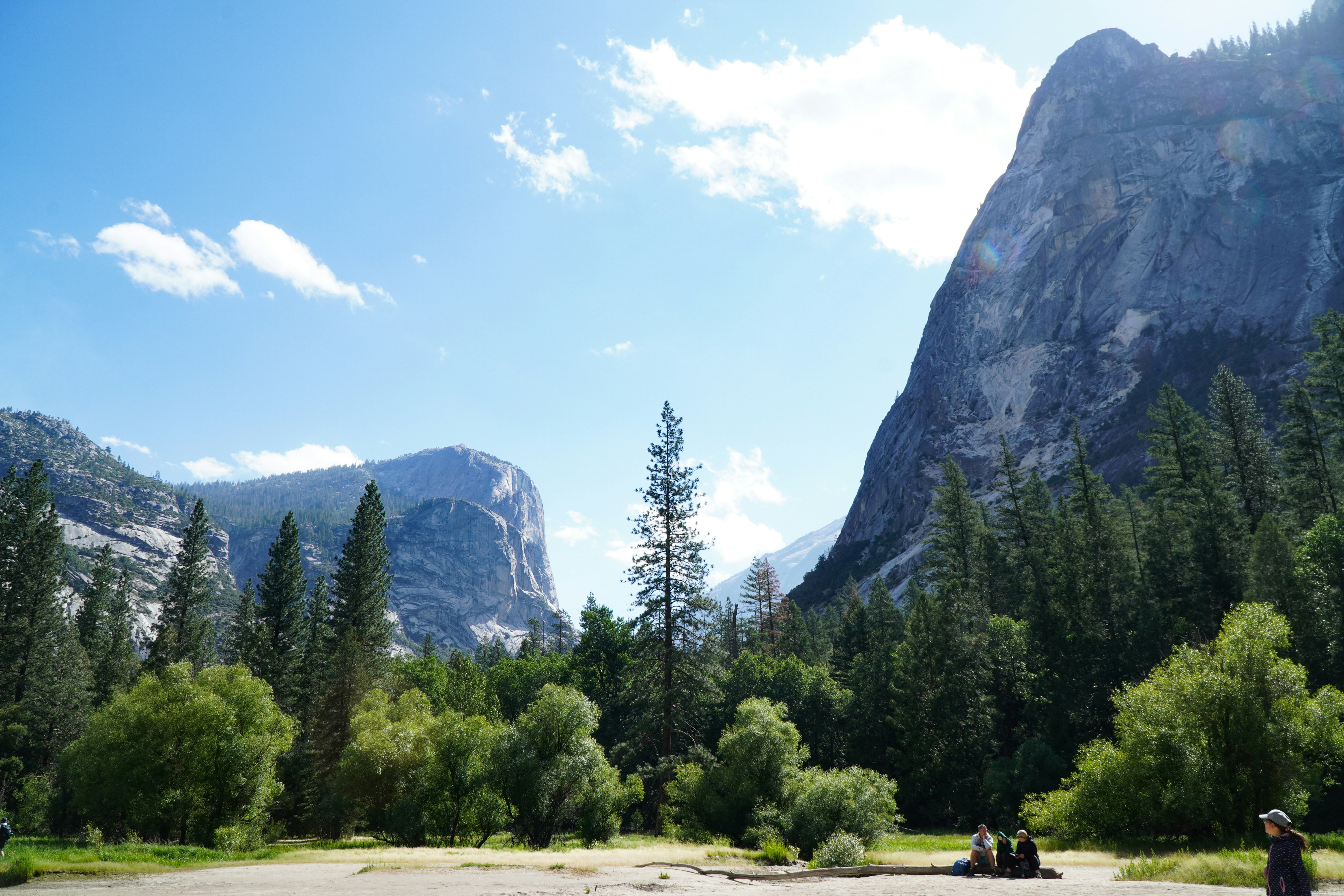 Cathedral of Granite: A Quiet Valley Amid Pine and Sky