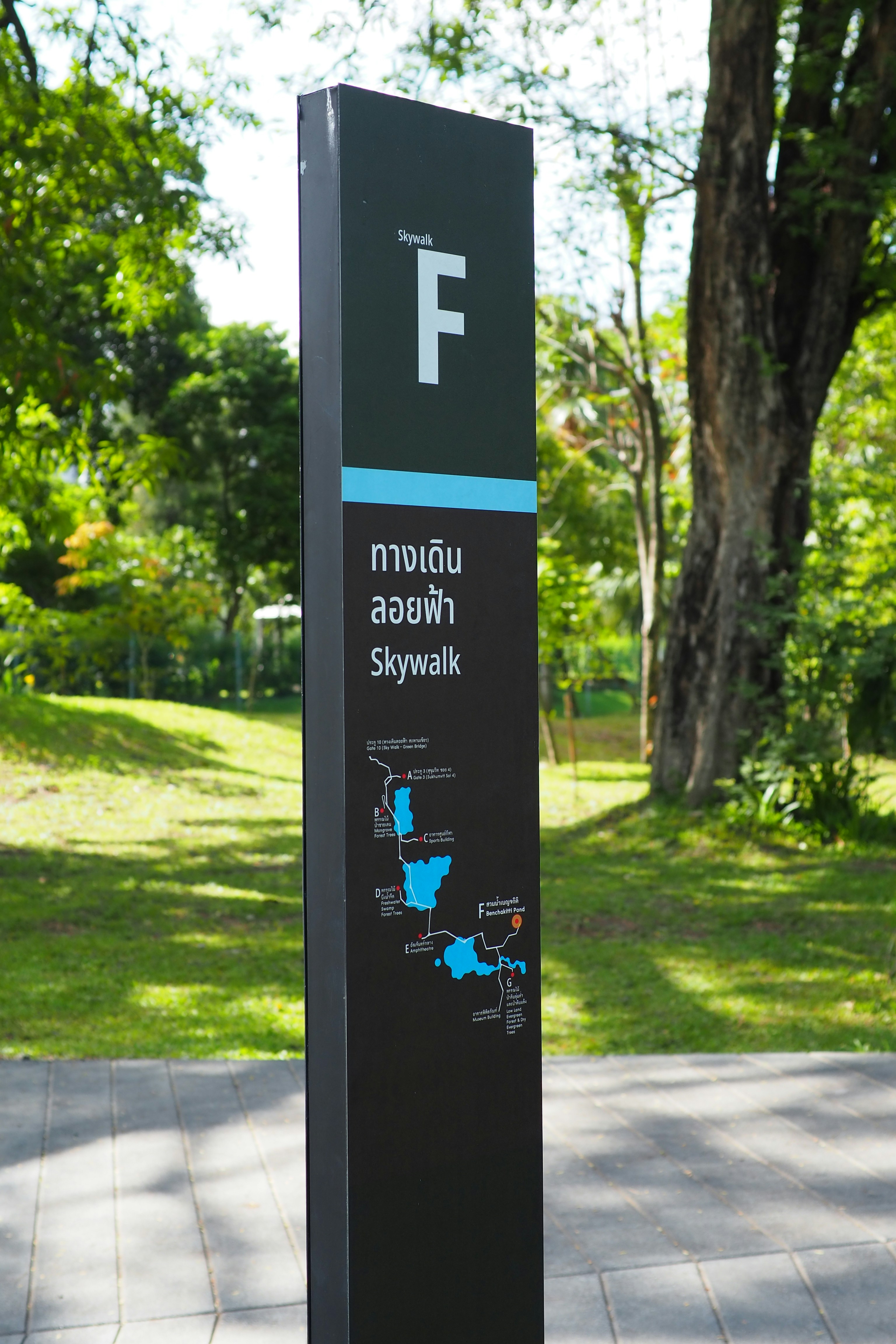A tall, black Skywalk sign stands in a sunlit park with green grass and trees in the background.