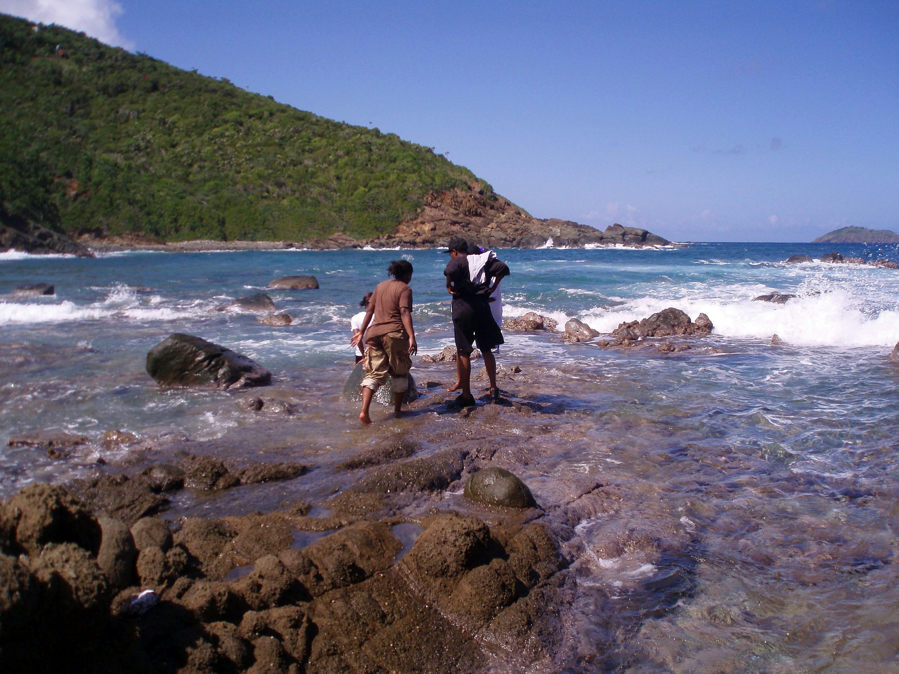 Two individuals wading through shallow waters, exploring rocky tide pools along a vibrant coastline.