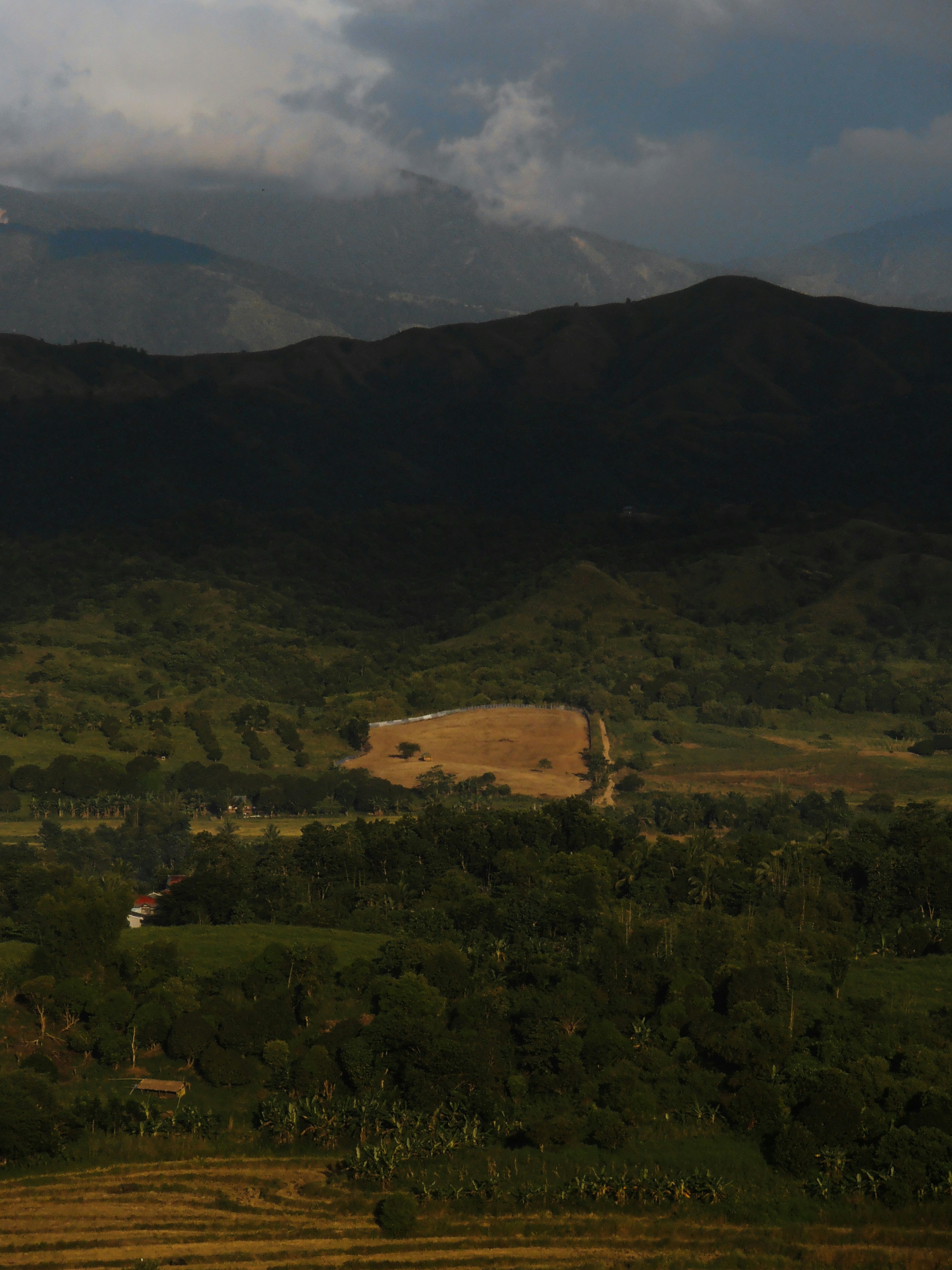 Golden Clearing Beneath a Rampart of Hills