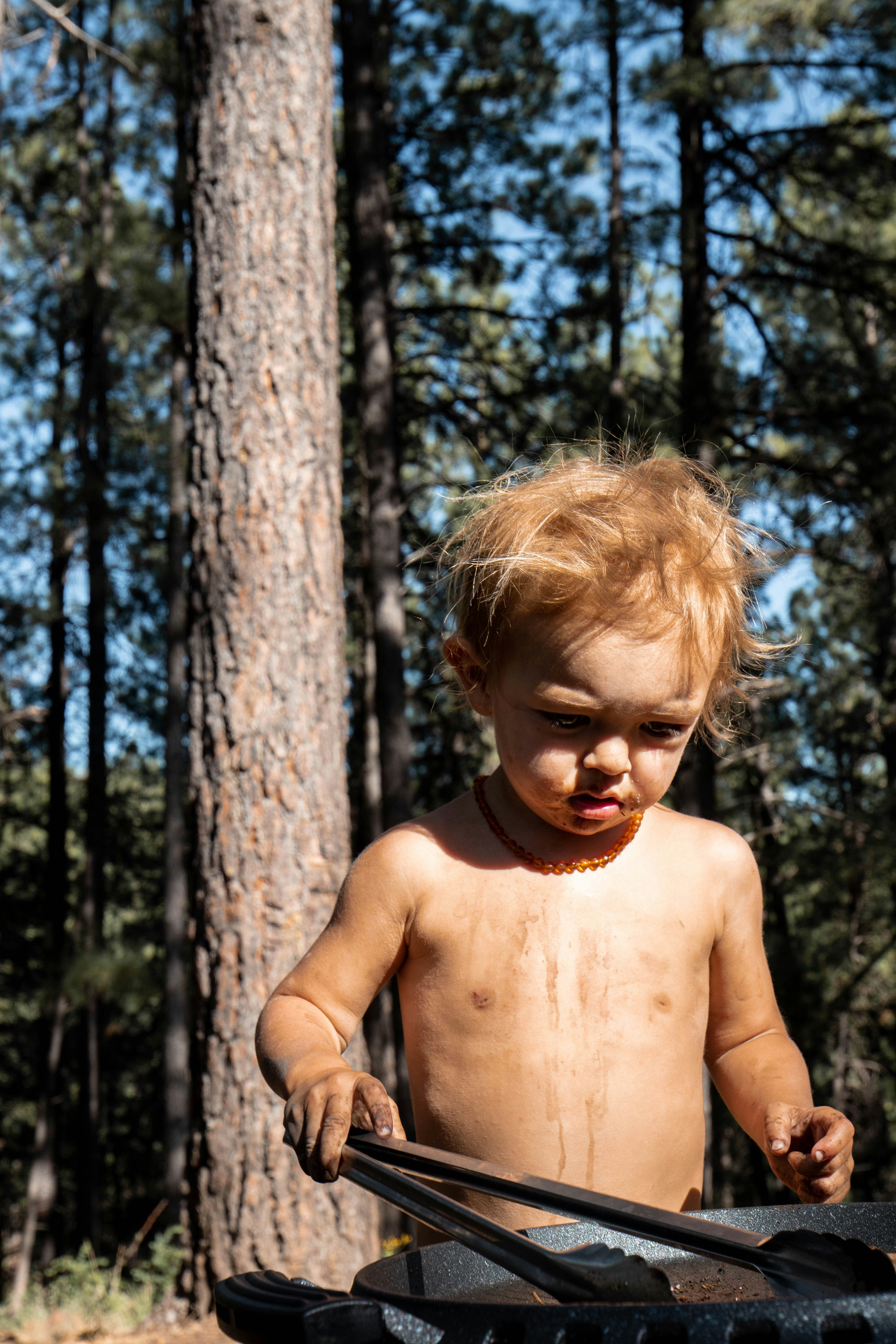 Young child engaging with outdoor tools amidst towering pine trees, showcasing the joy of exploration and discovery.