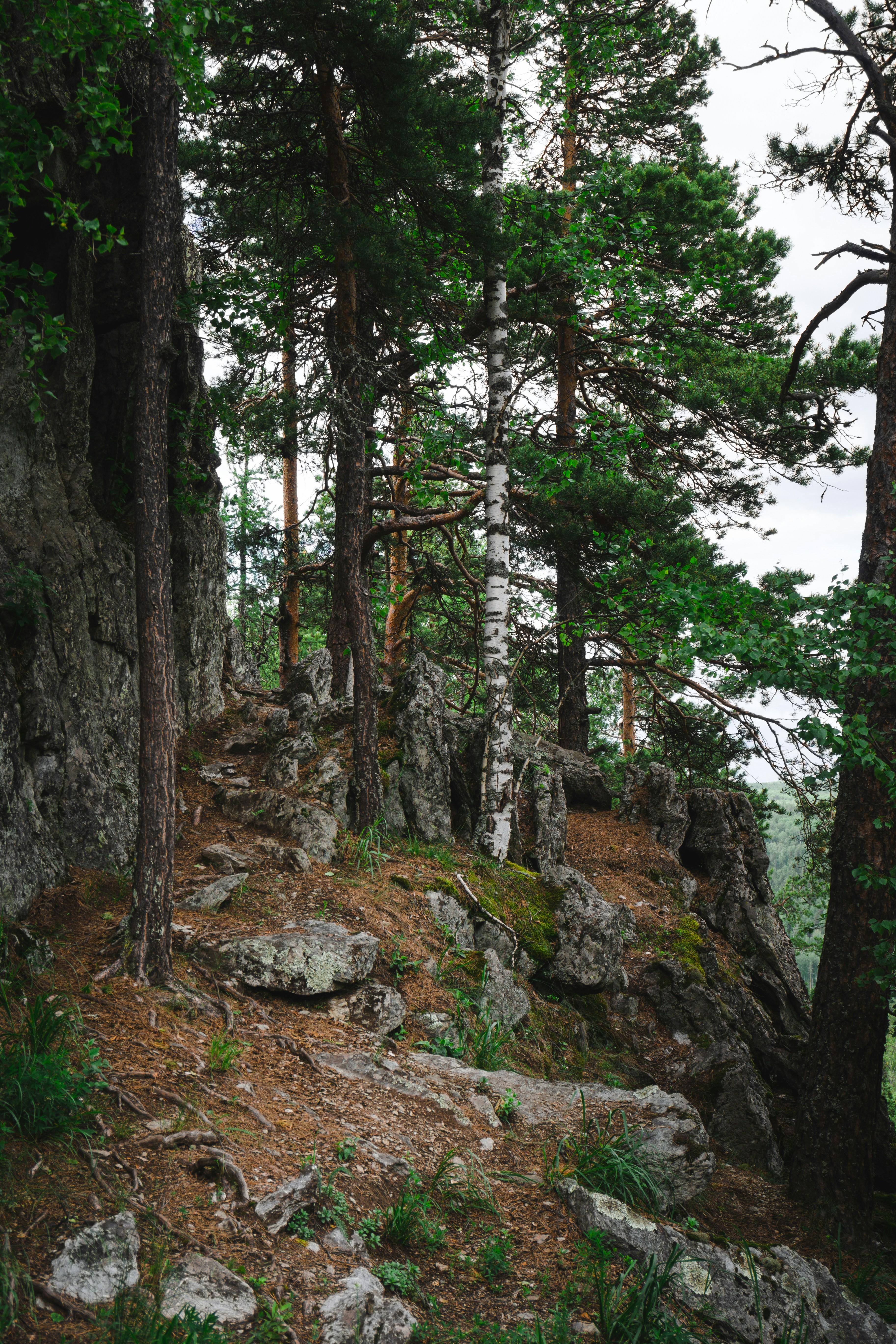 Photo by Timur Khabibulin with Sony Alpha 6000