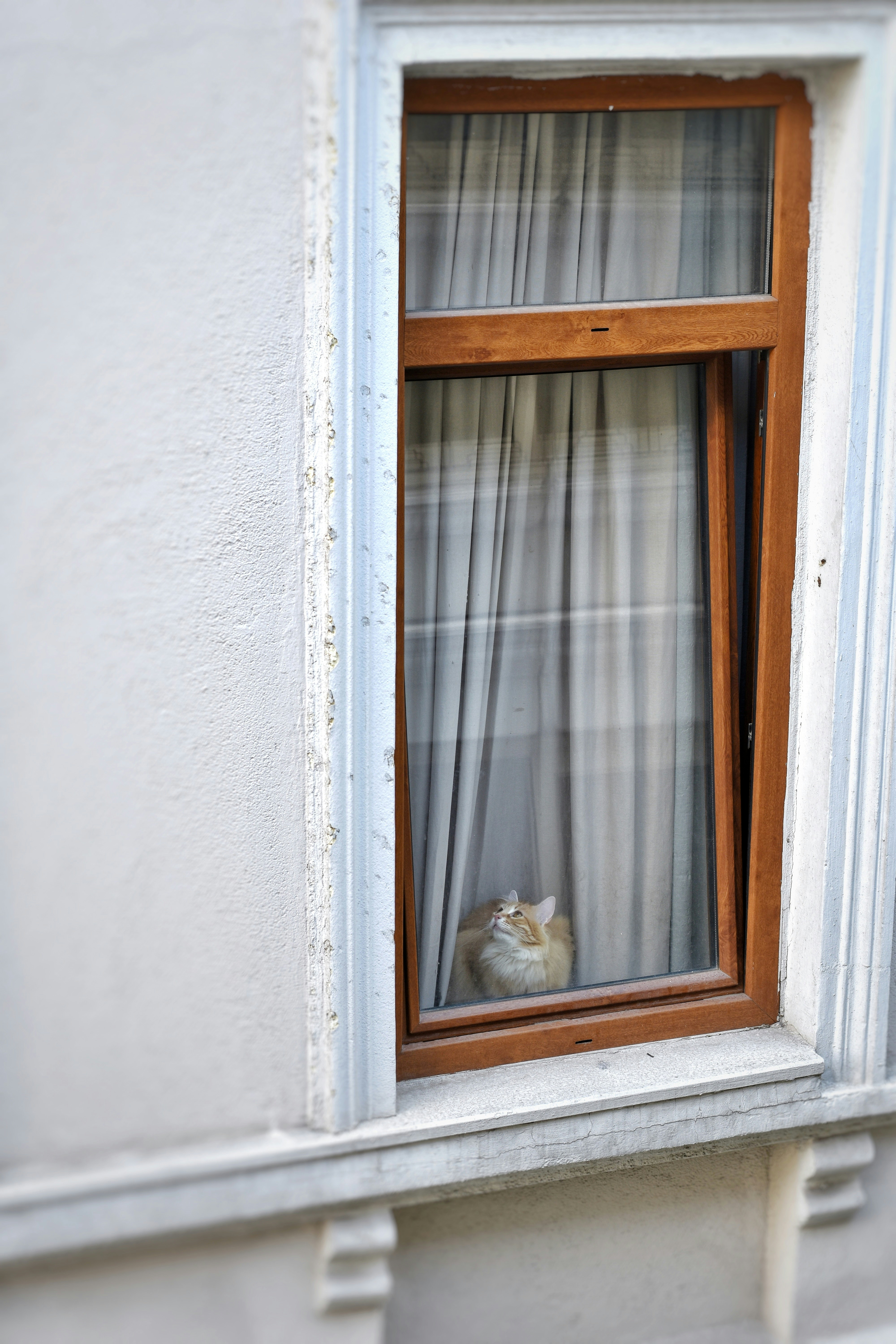 Photo by Nasim Keshmiri with Nikon D5600