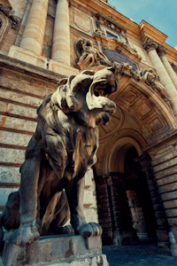 Stone Guardian: A Lion's Gaze Before an Ornate Arch