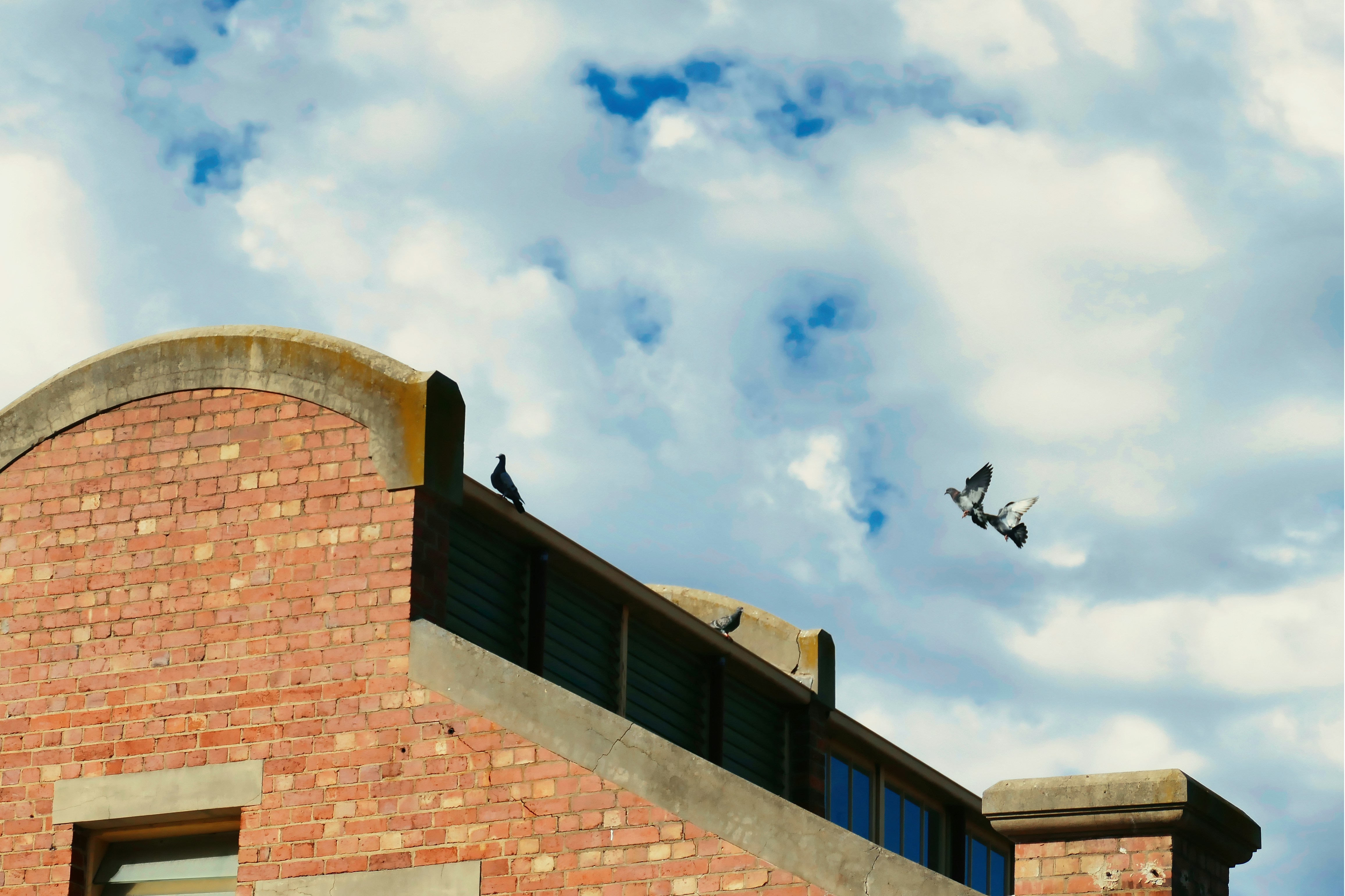 Two pigeons flying to sit on a building roof with cloudy background