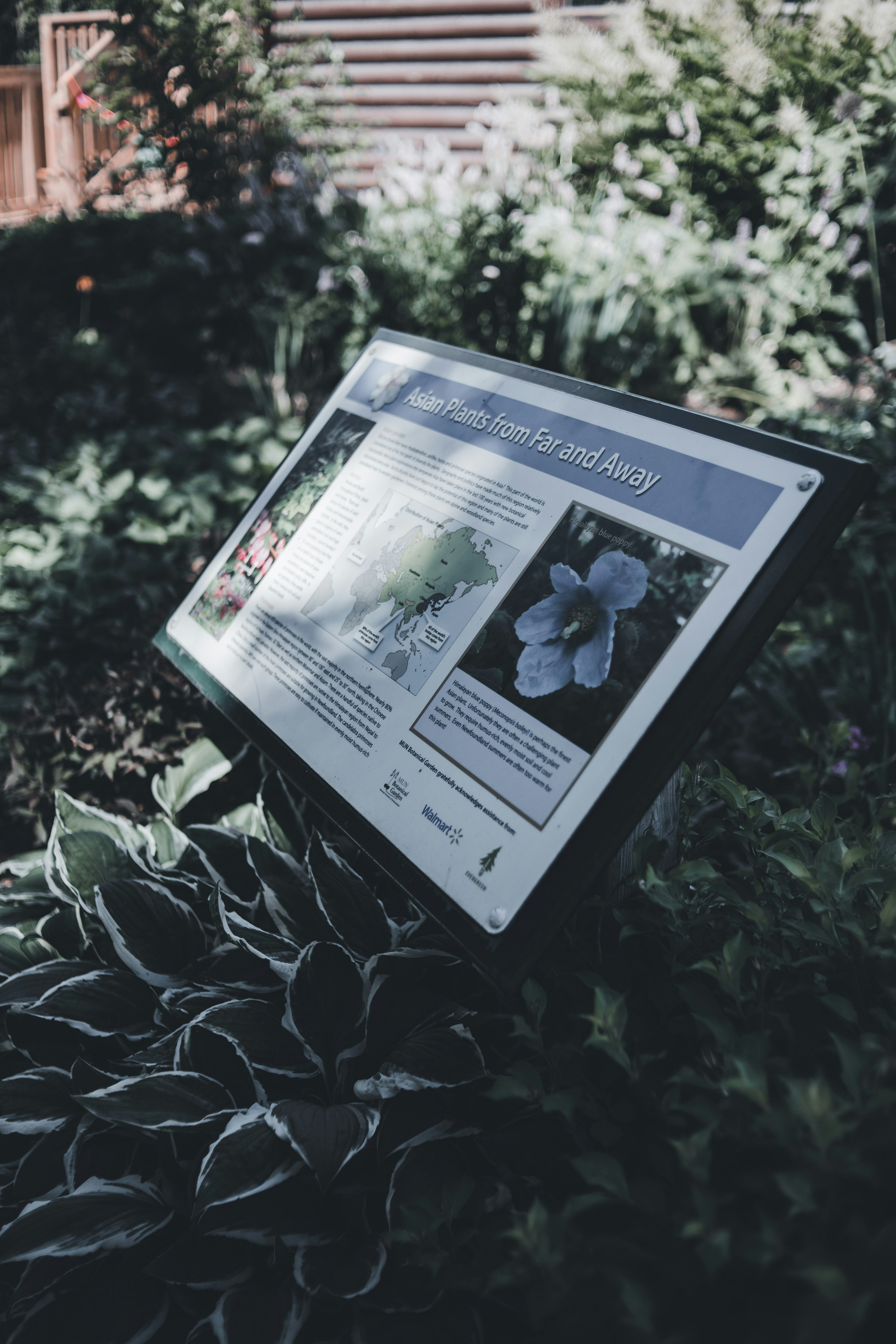 Tilted Garden Information Panel: Faraway Asian Flora