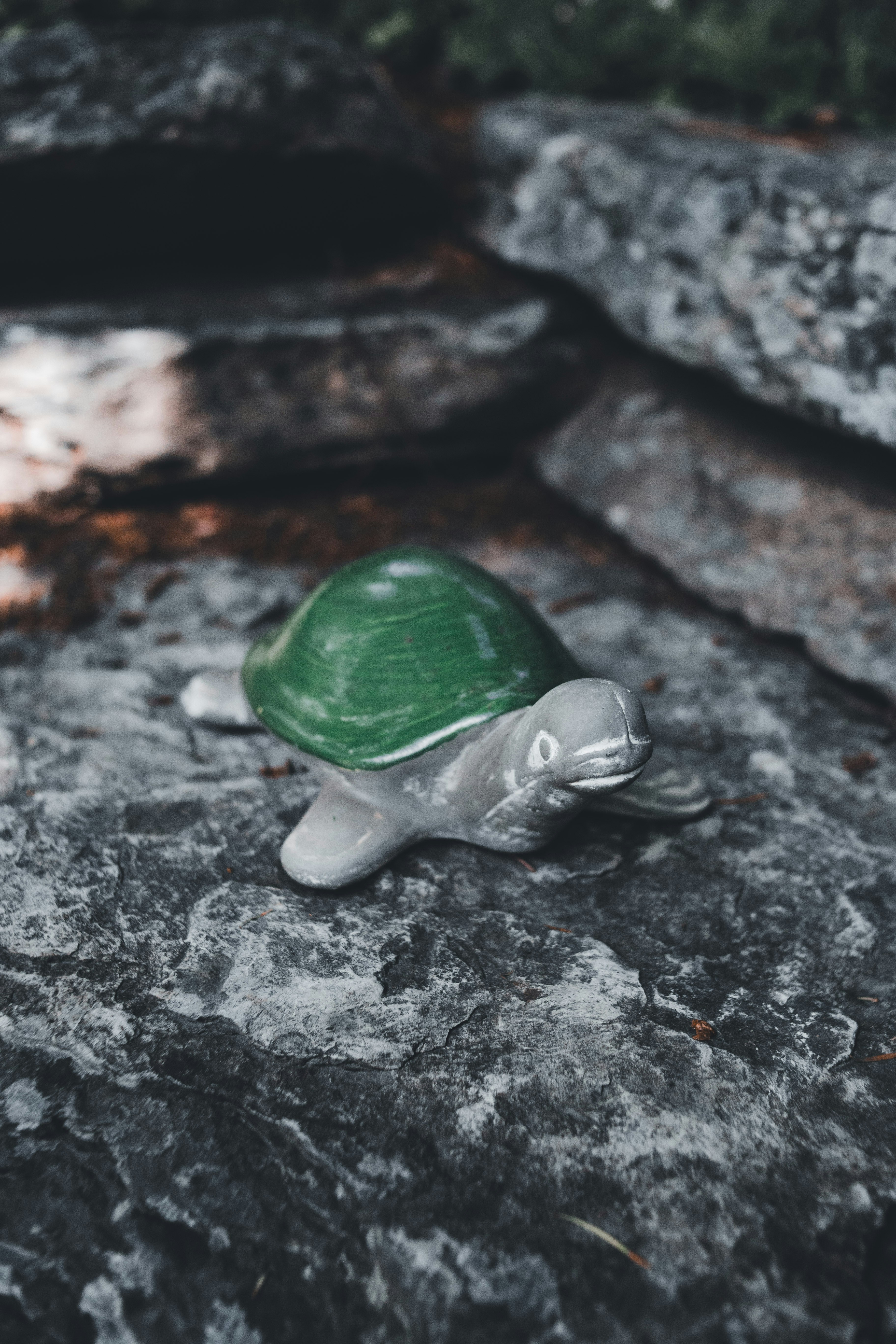 Green-Shelled Toy Turtle Traverses Weathered Granite