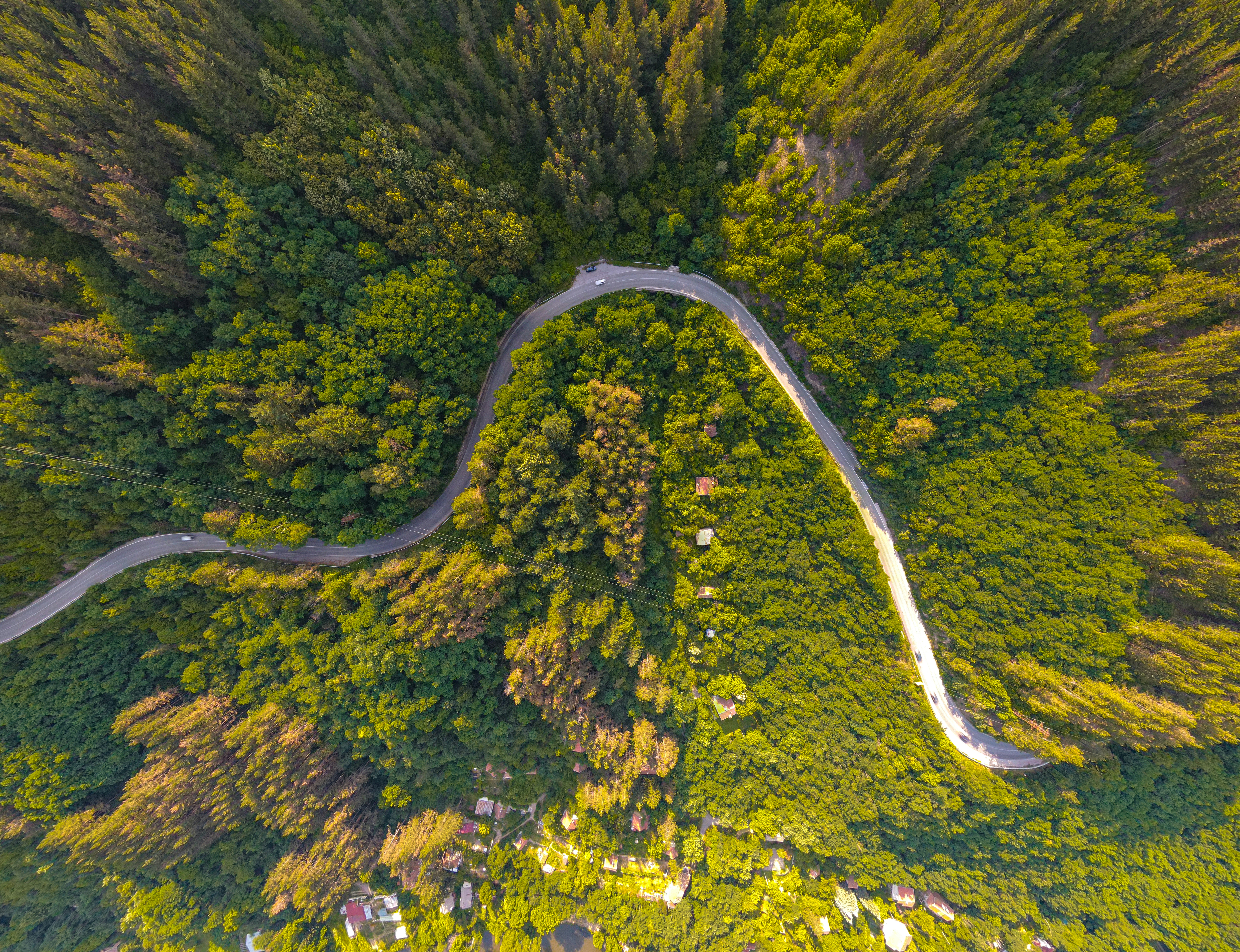 Une route sinueuse à travers une forêt photo – Photo Photographie par ...