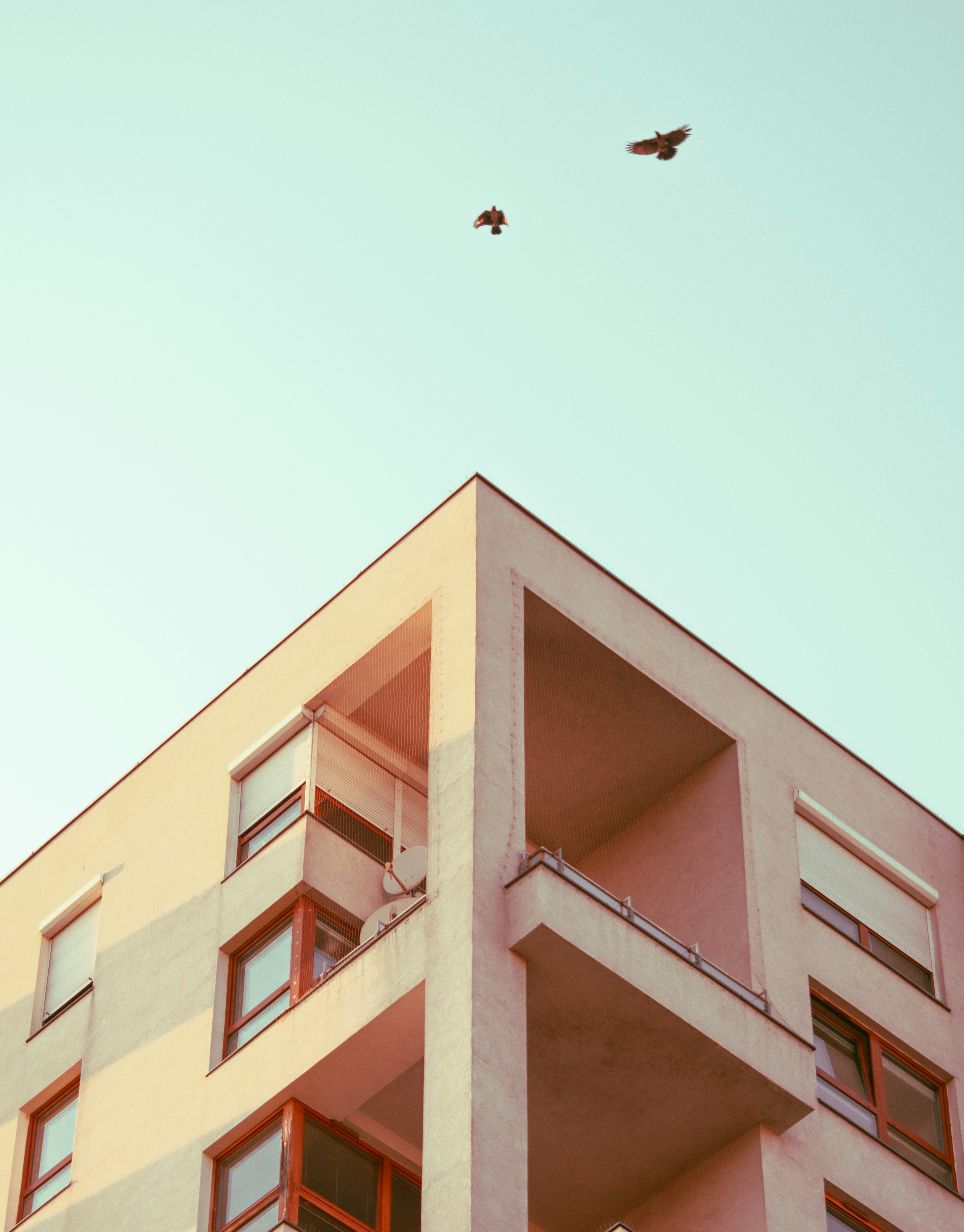Sunlit Angles Over a Modern Corner with Two Birds