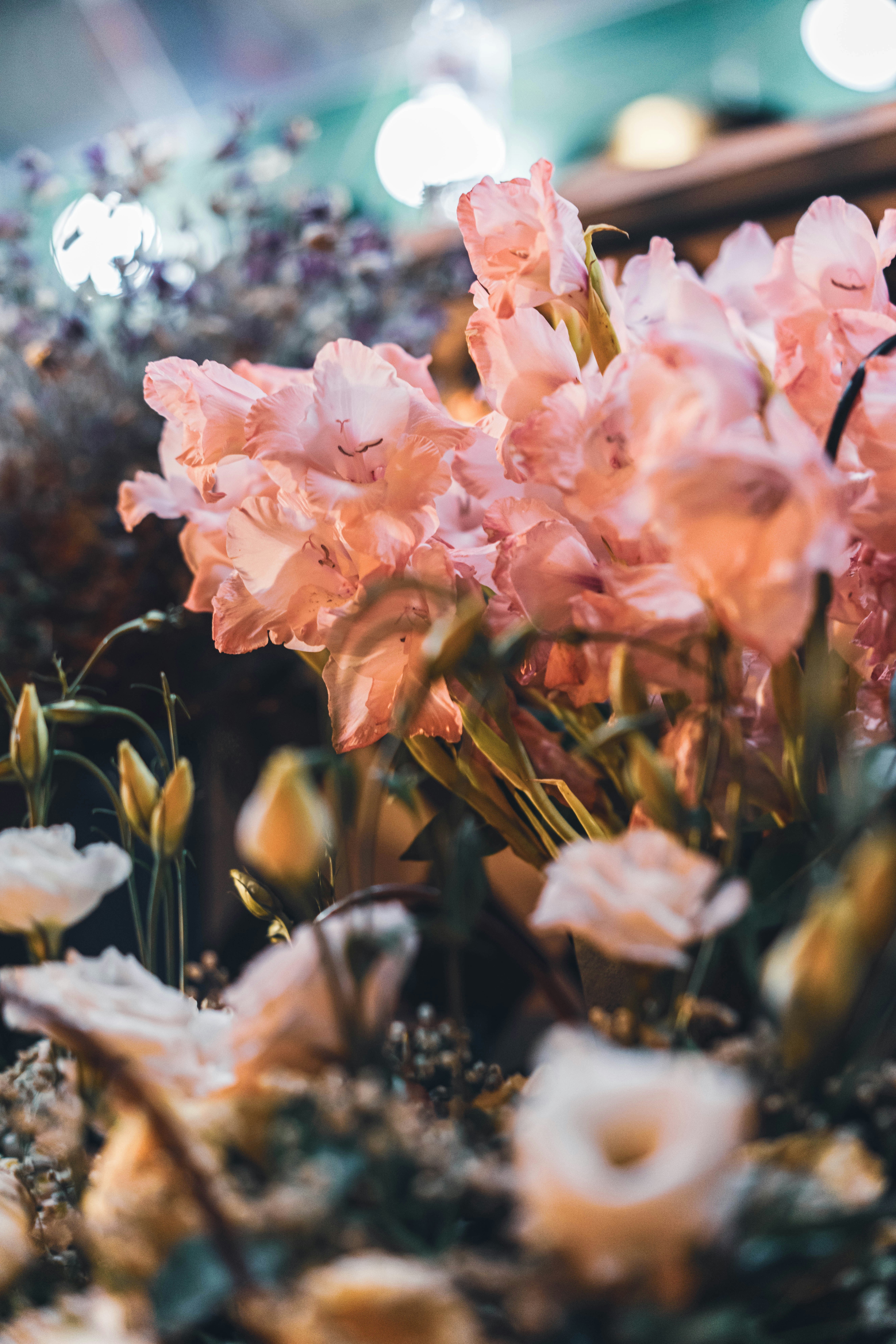 Whispers of Floral Elegance