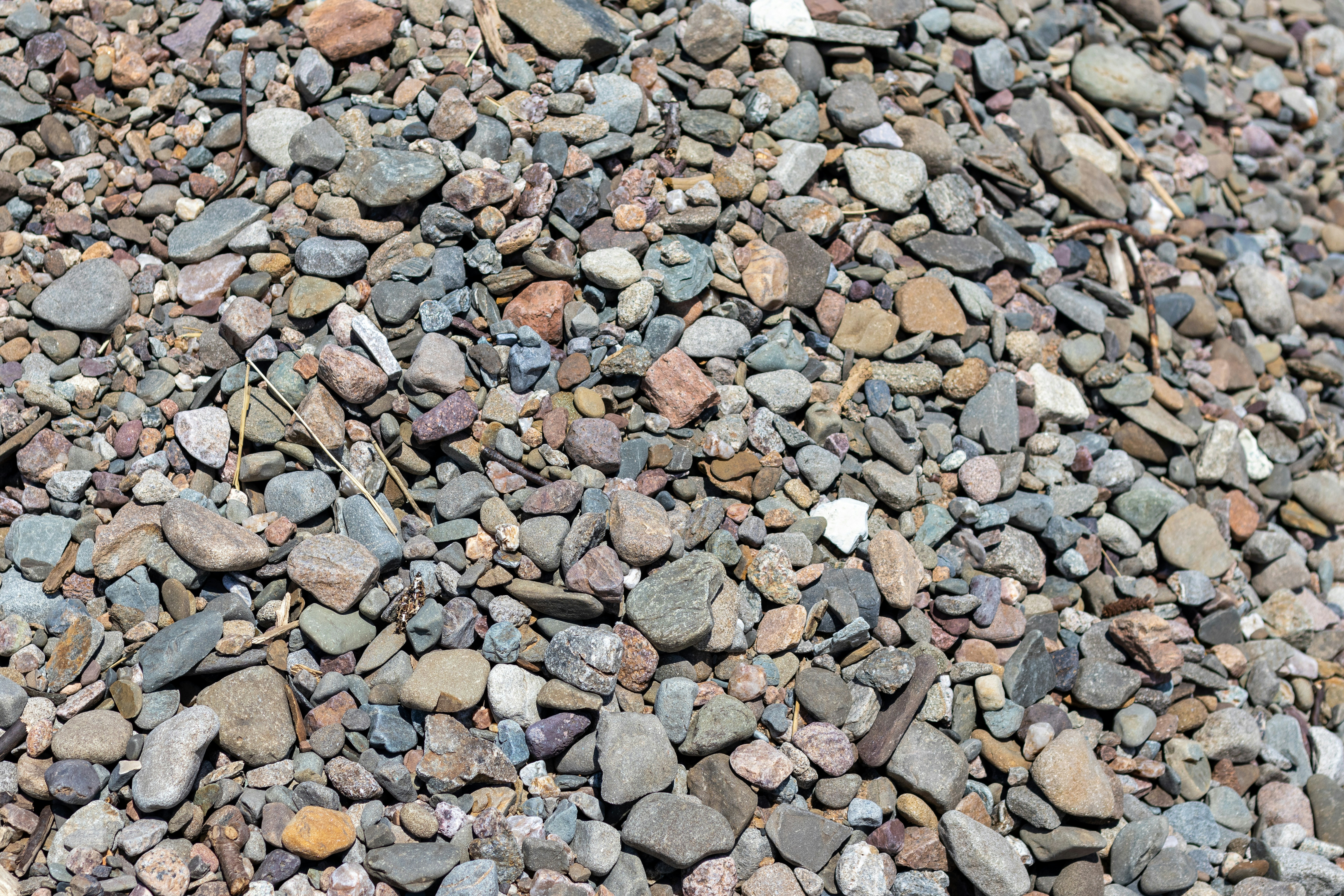 Photo by Marcus Urbenz with Canon EOS M50 Mark II