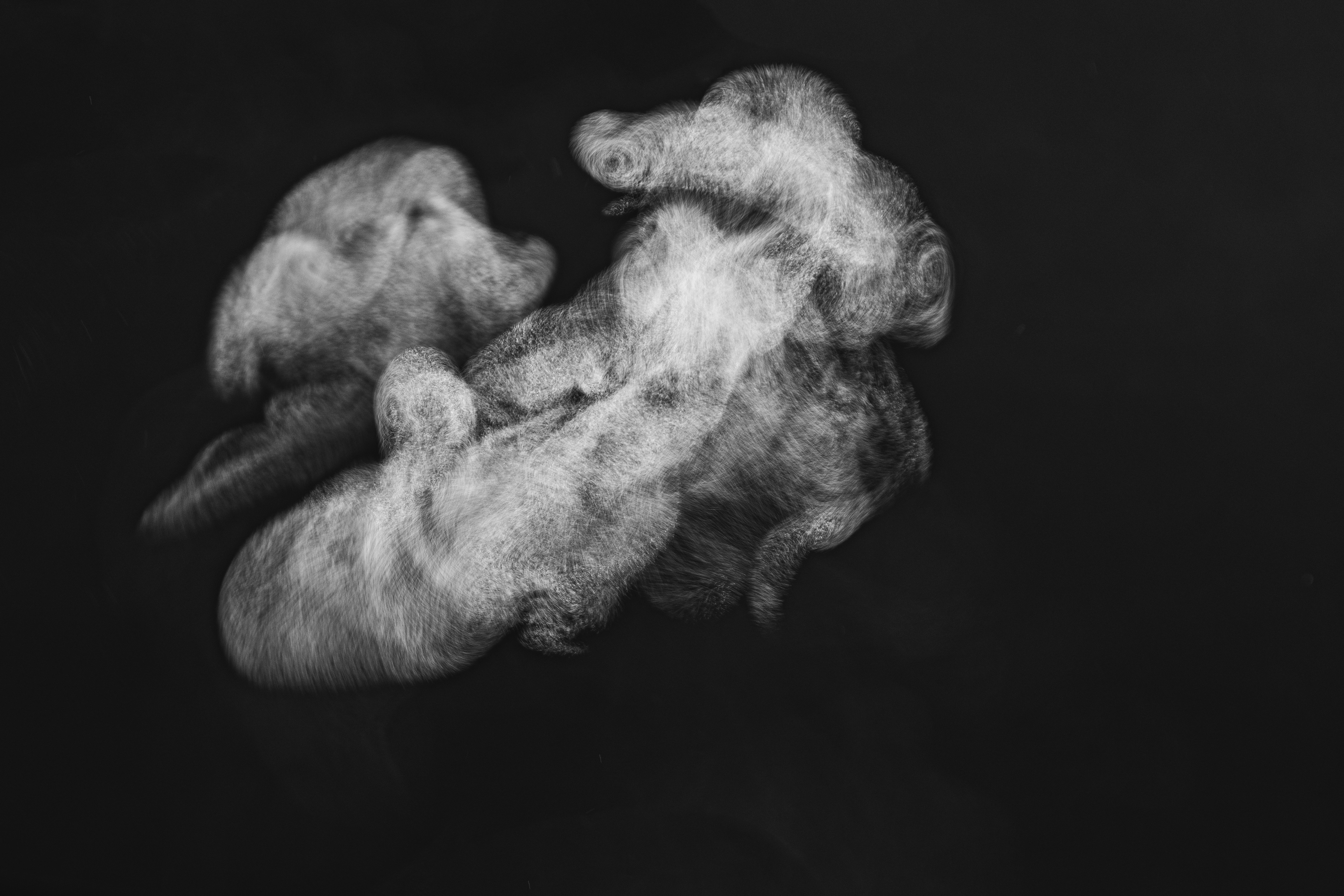 Abstract black and white illustration of swirling smoke patterns against a dark background.