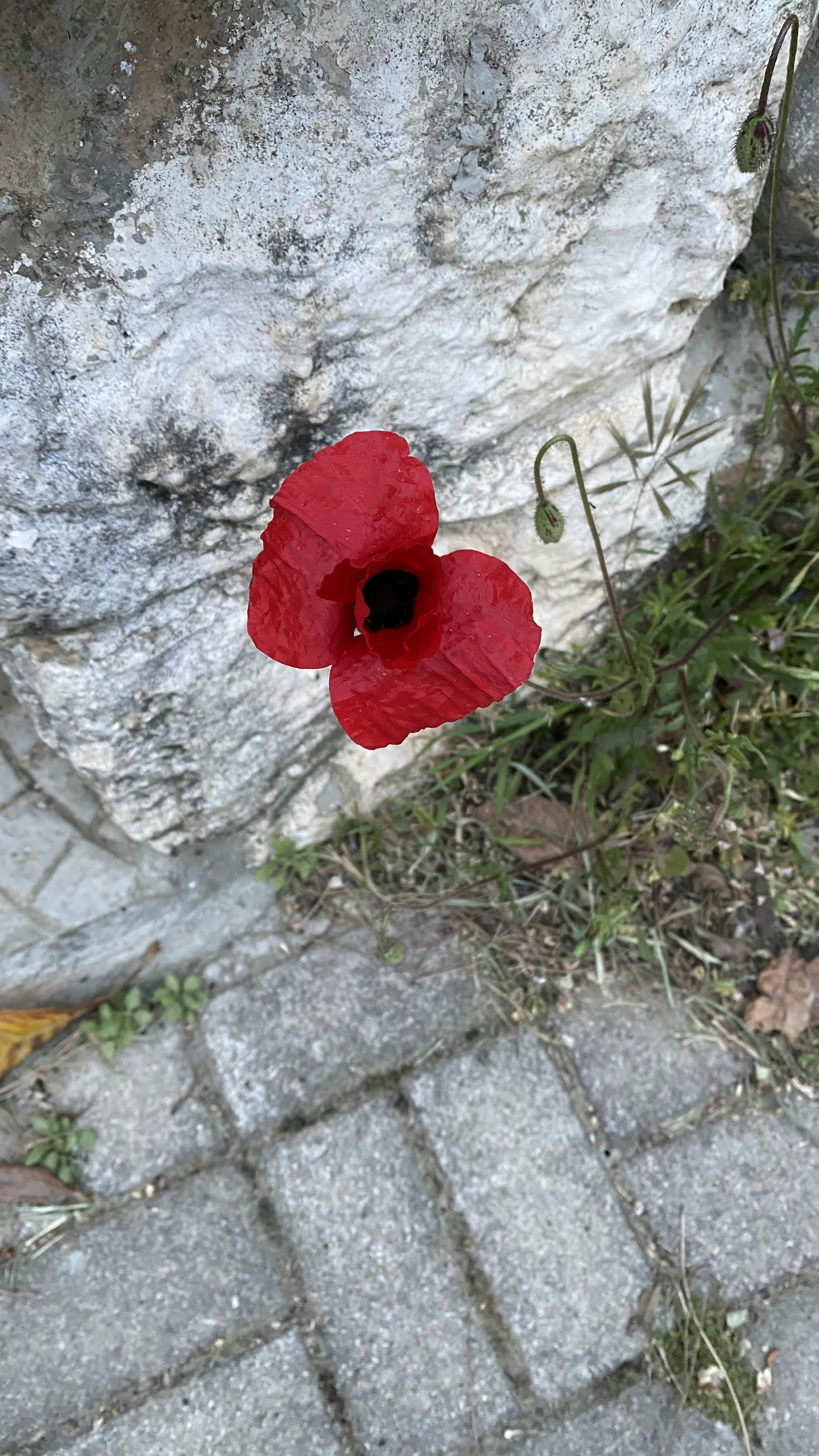 Mars Petro (@marspetro) | Komunitas Foto Unsplash