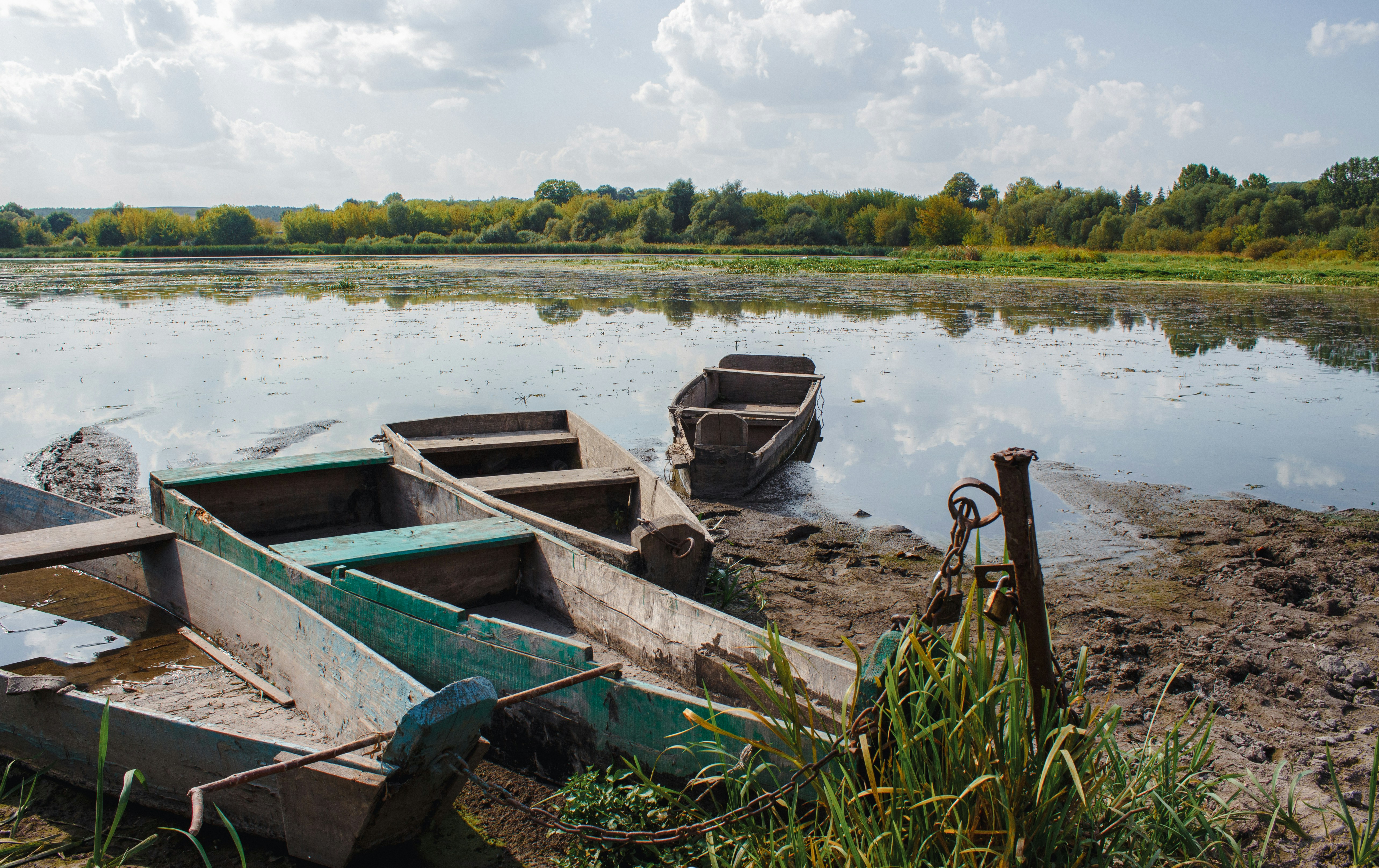 Photo by Viktor Smoliak with Canon EOS 700D