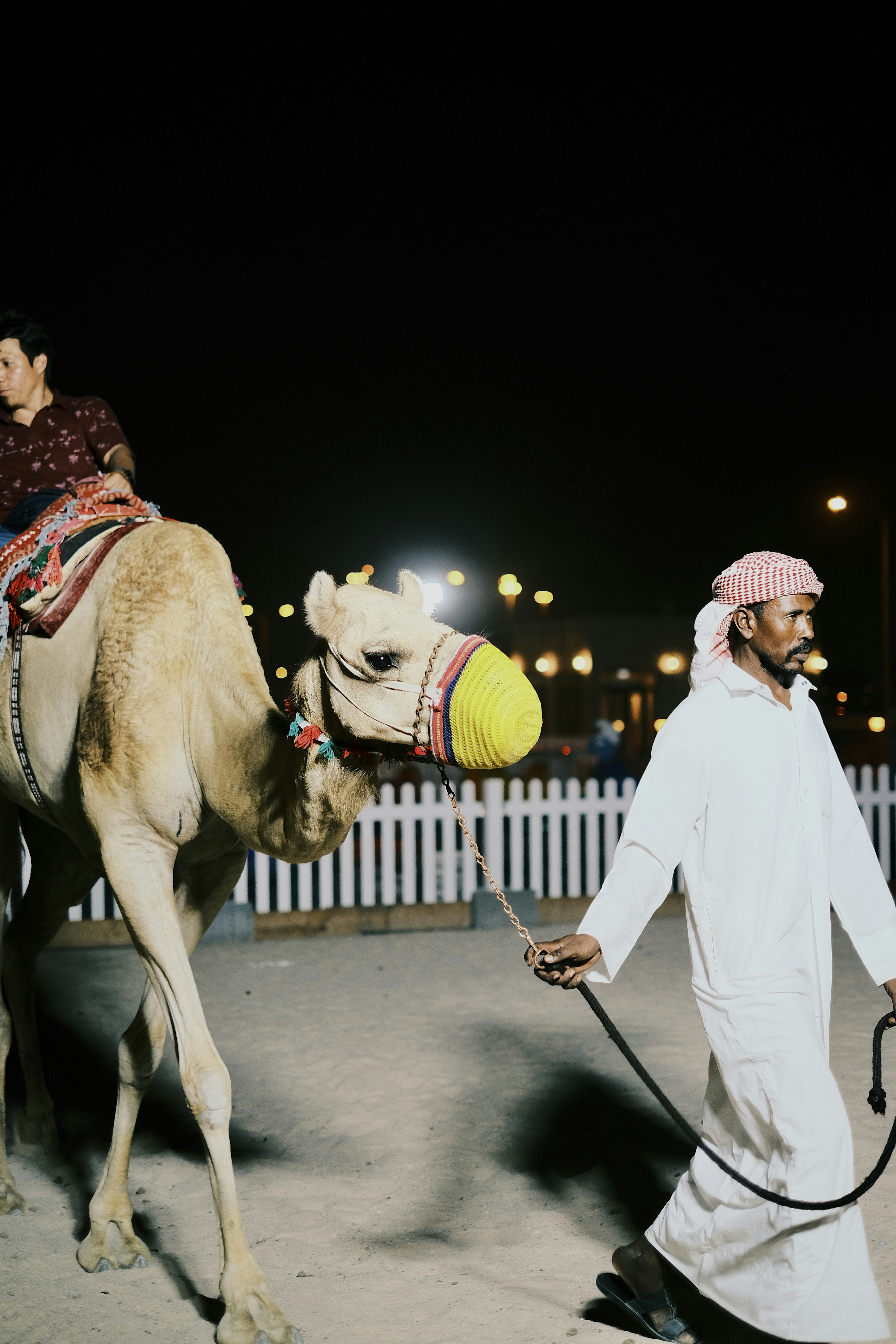 Nocturnal Camel Parade: The Quiet Guide Under Lantern Light