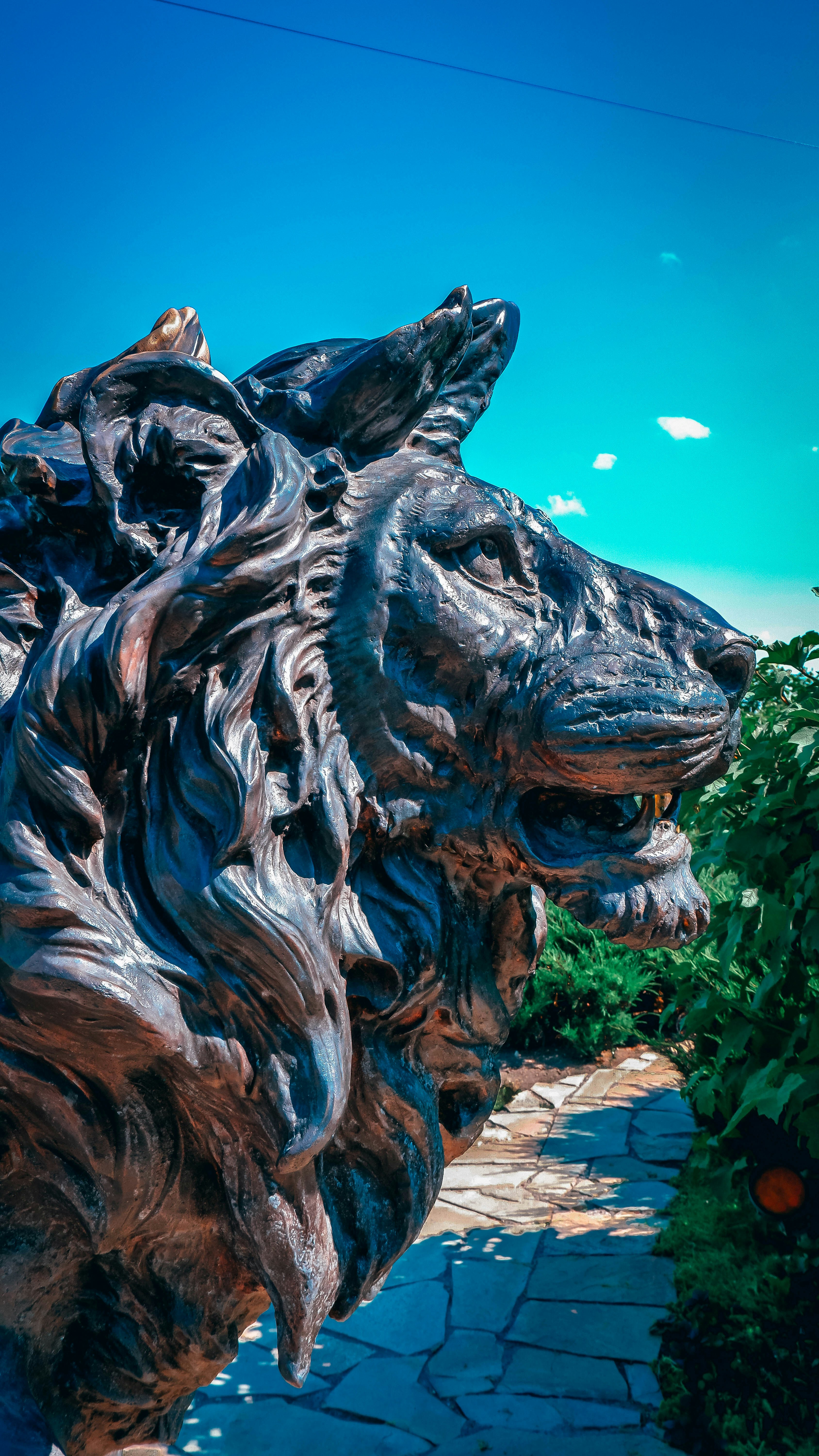 Dragon Head in the Garden: A Bronze Griffin Guarding the Path