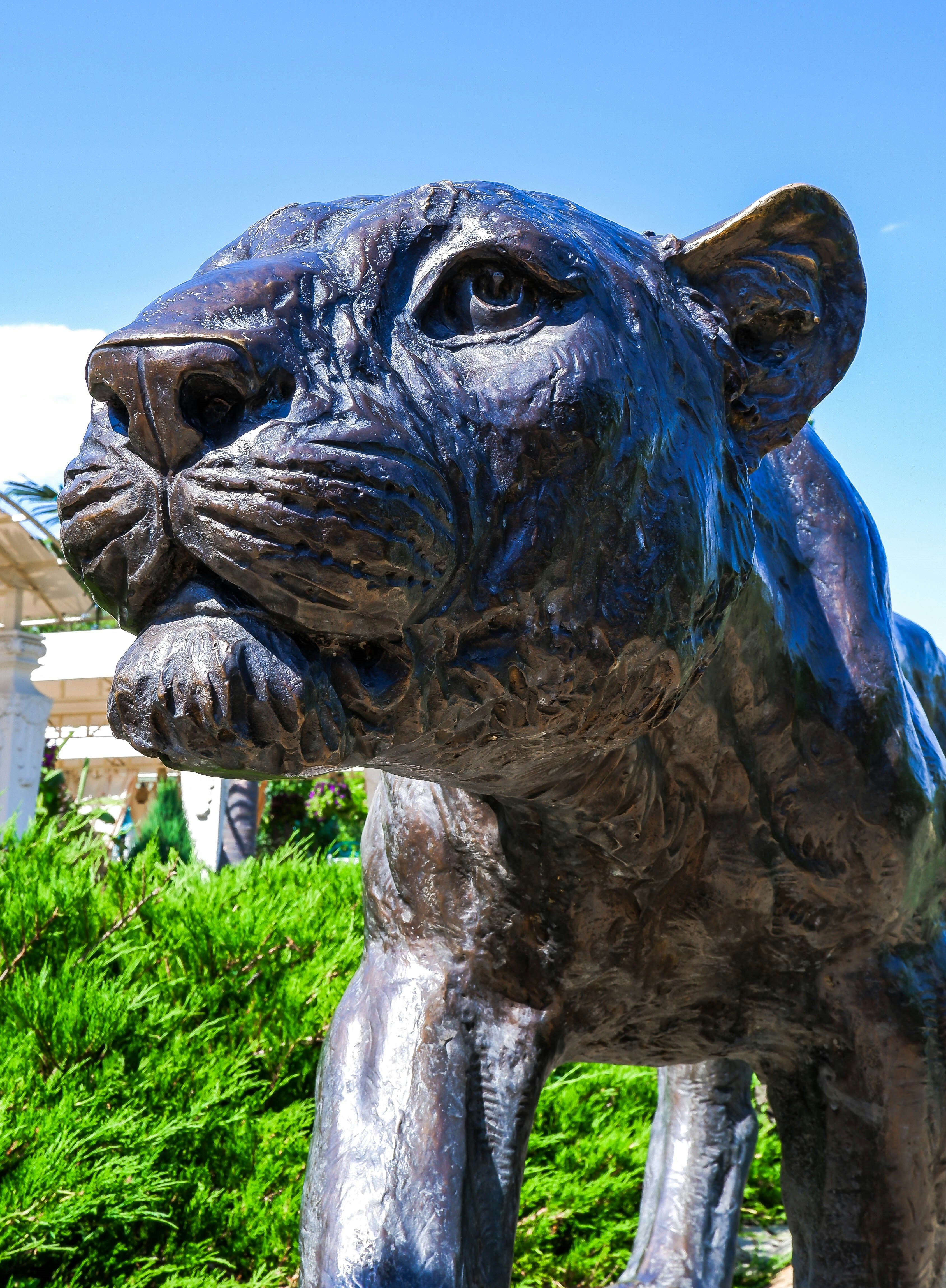 Sunlit Sentinel: Bronze Panther Under a Blue Sky