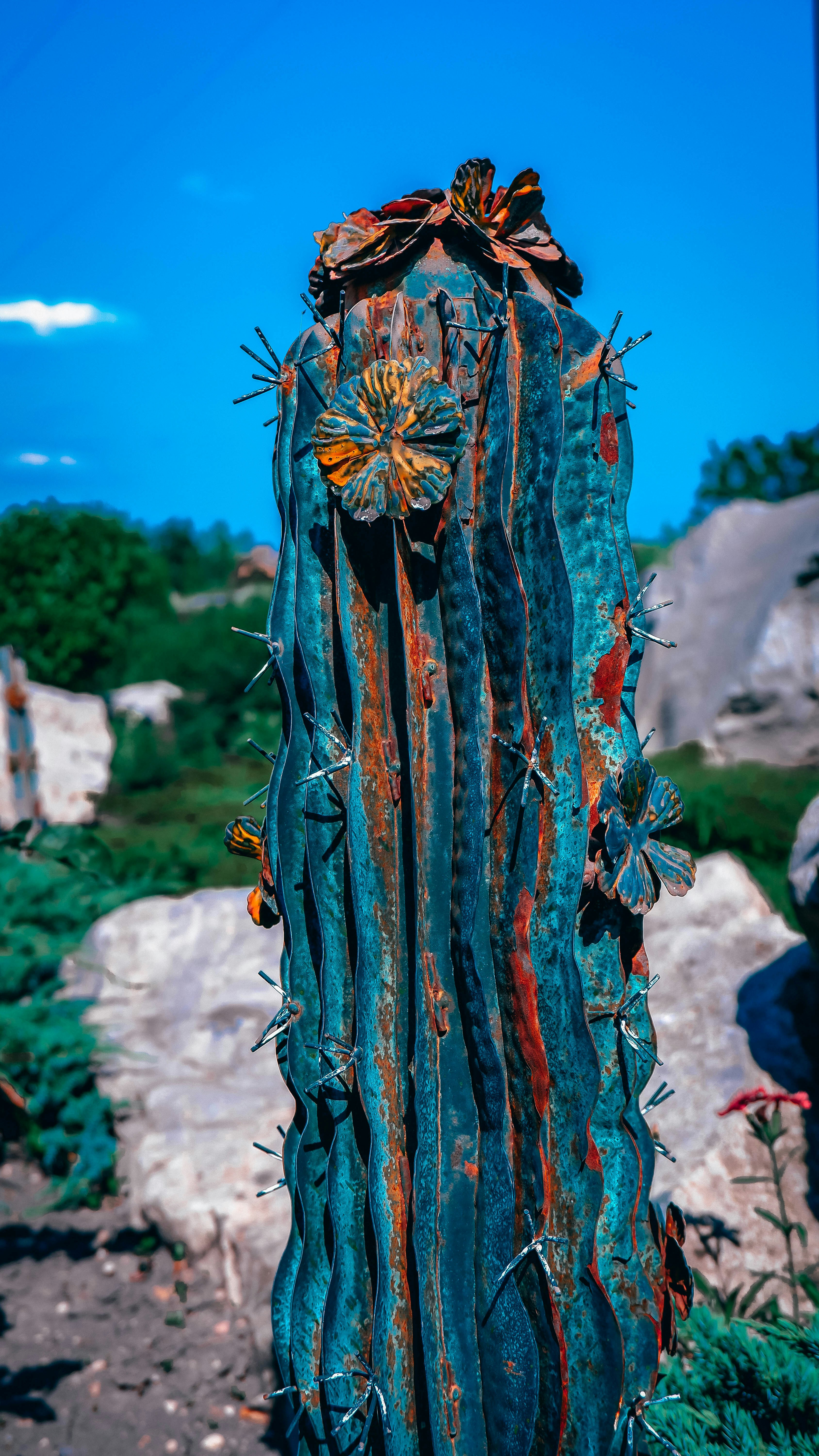 Desert Sentinel in Vibrant Hues