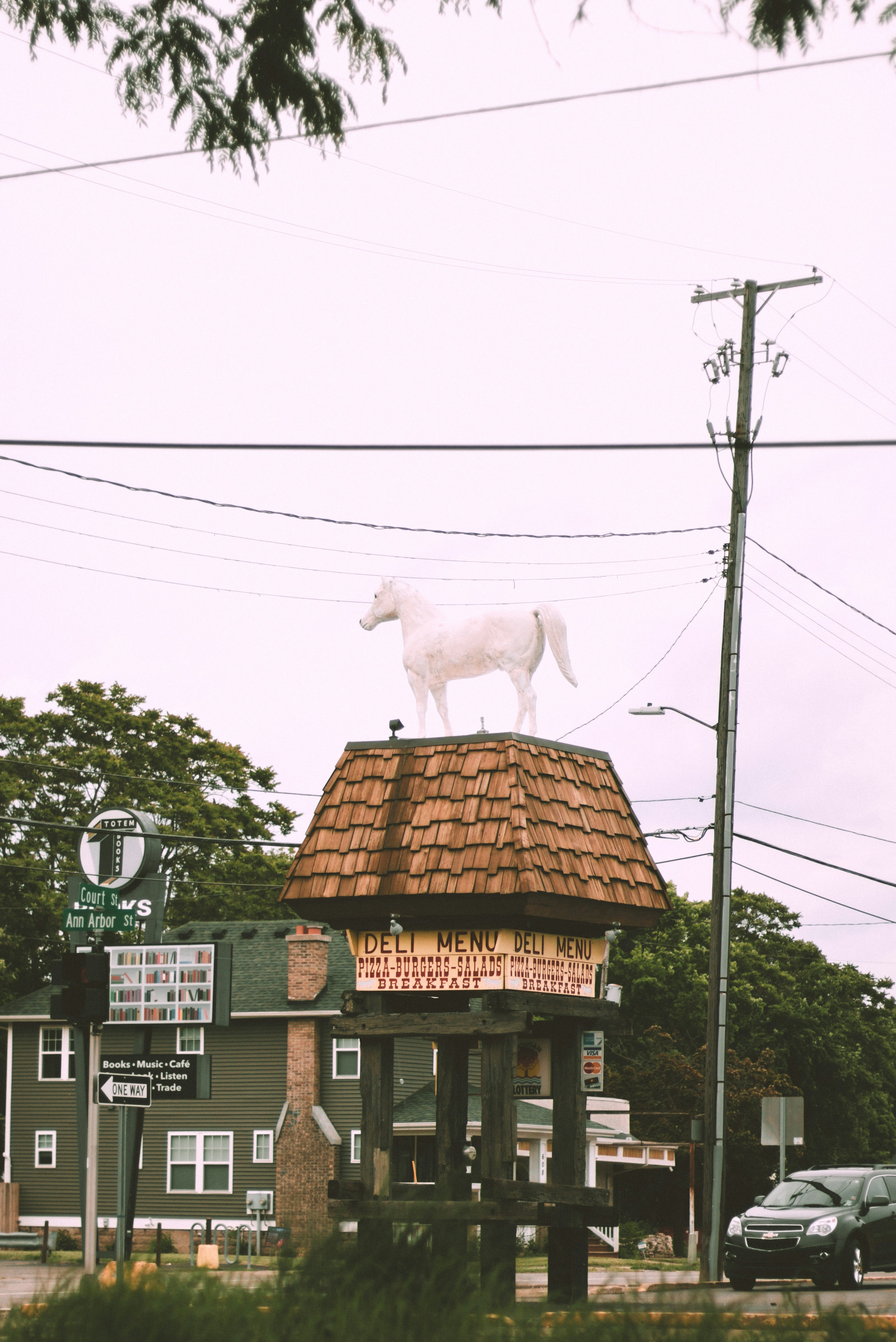 a white horse on a roof
