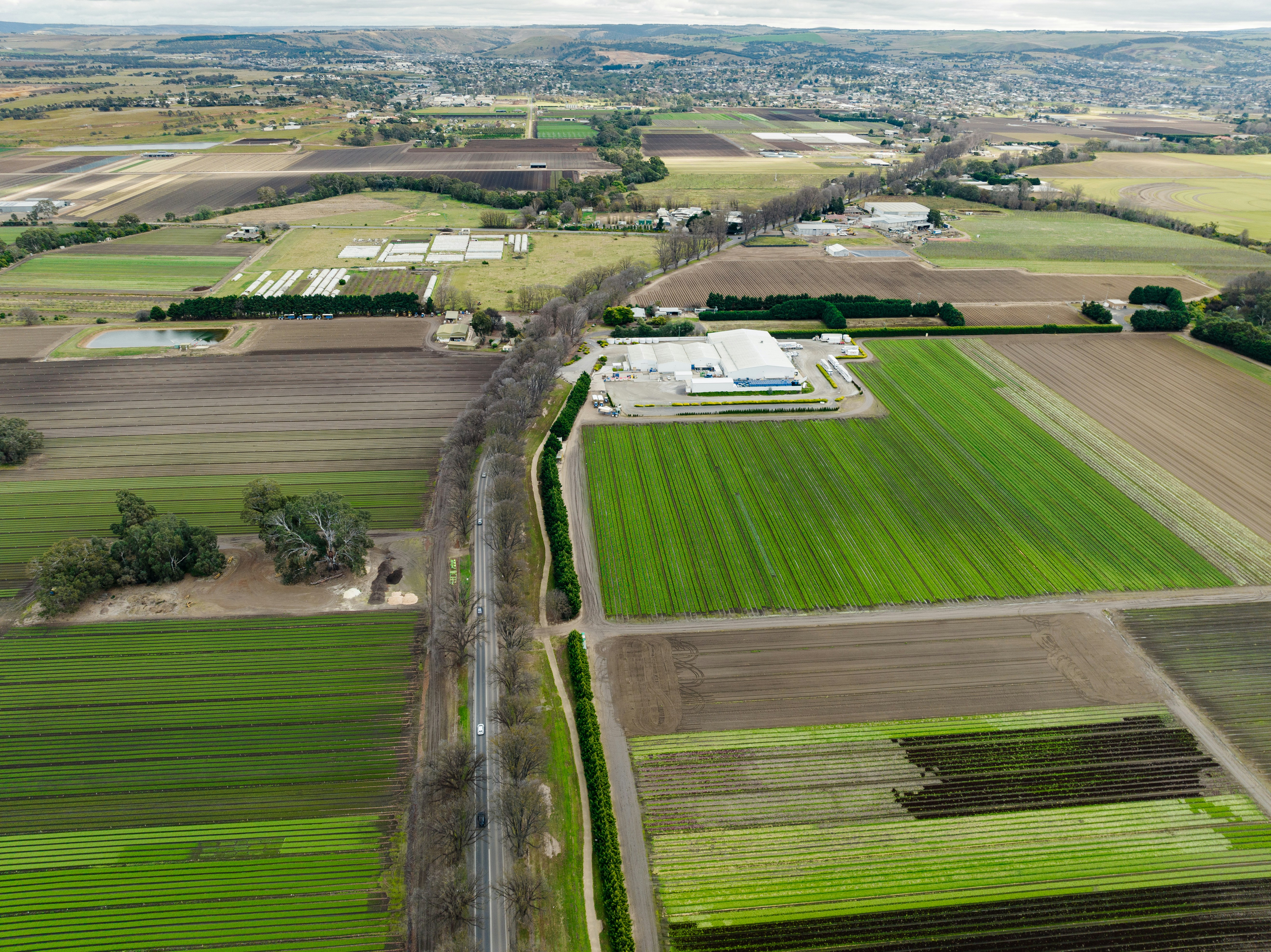A large field with Prairie Queen Recreation Area in the middle photo ...