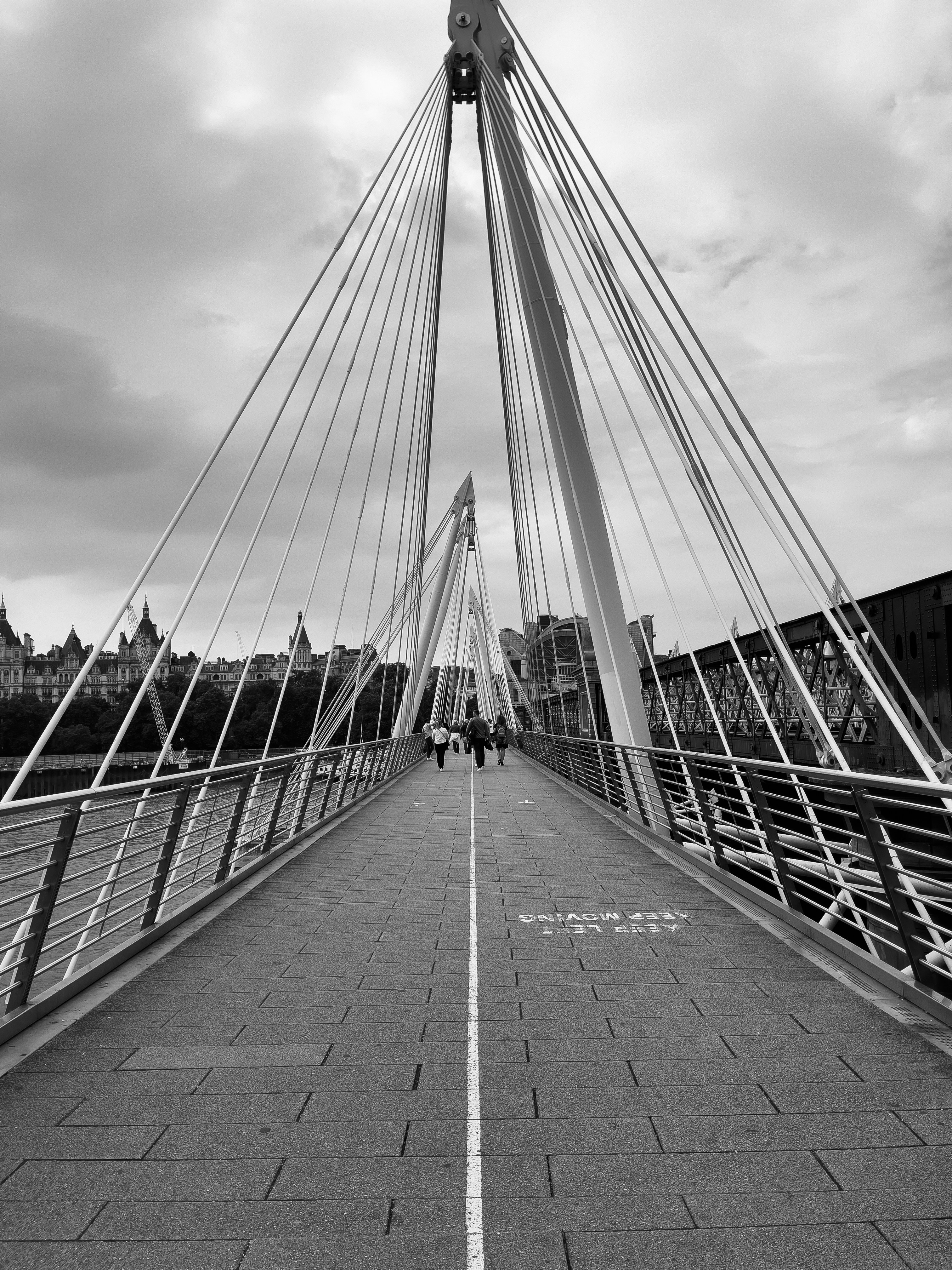 Symphony of Lines: A Modern Bridge Perspective