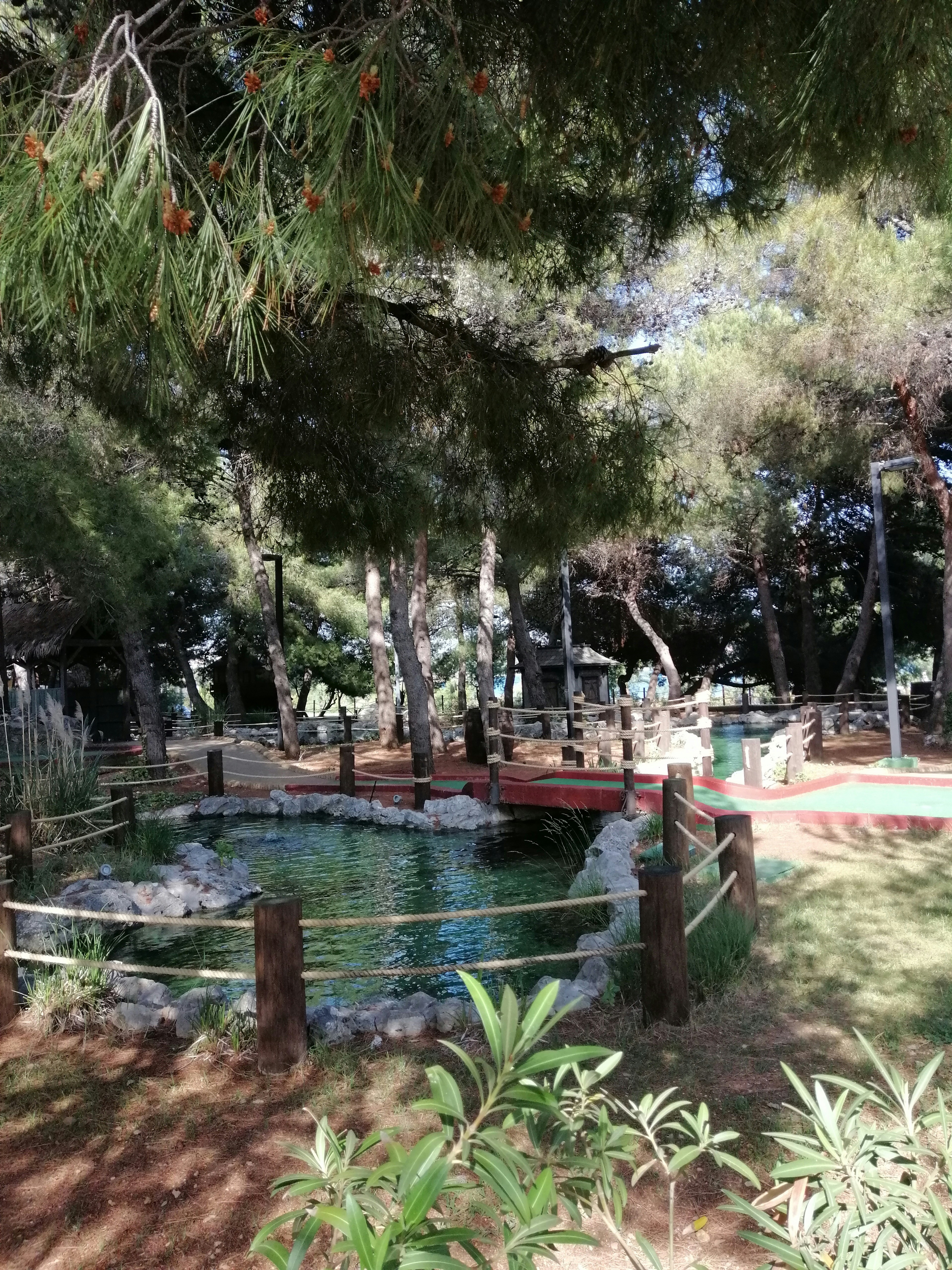 A serene park scene featuring a small pond surrounded by lush greenery and wooden pathways, inviting relaxation and reflection.