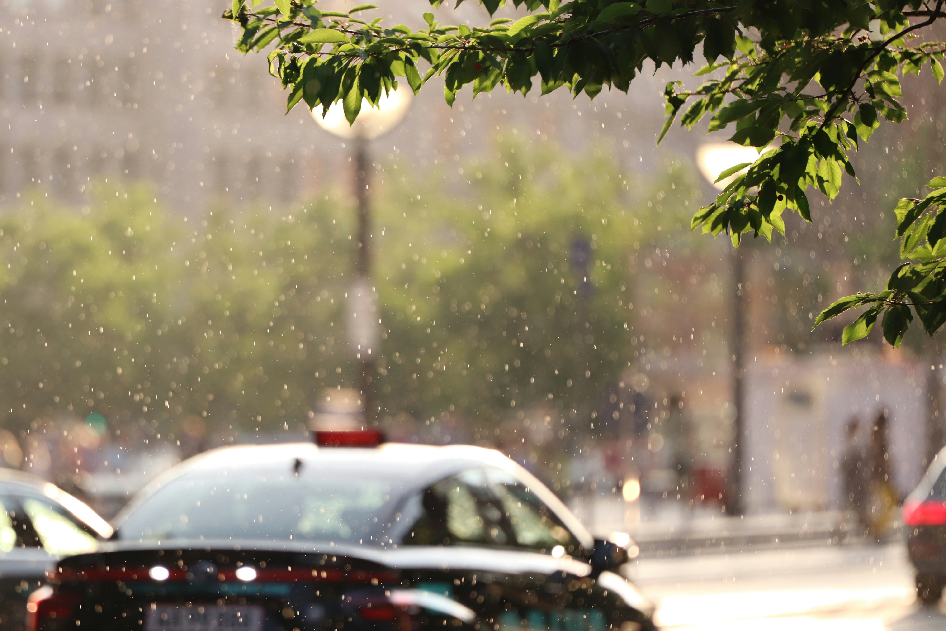 Rainy Street in Focus: A City Car Blur with Gentle Snow-like Raindrops