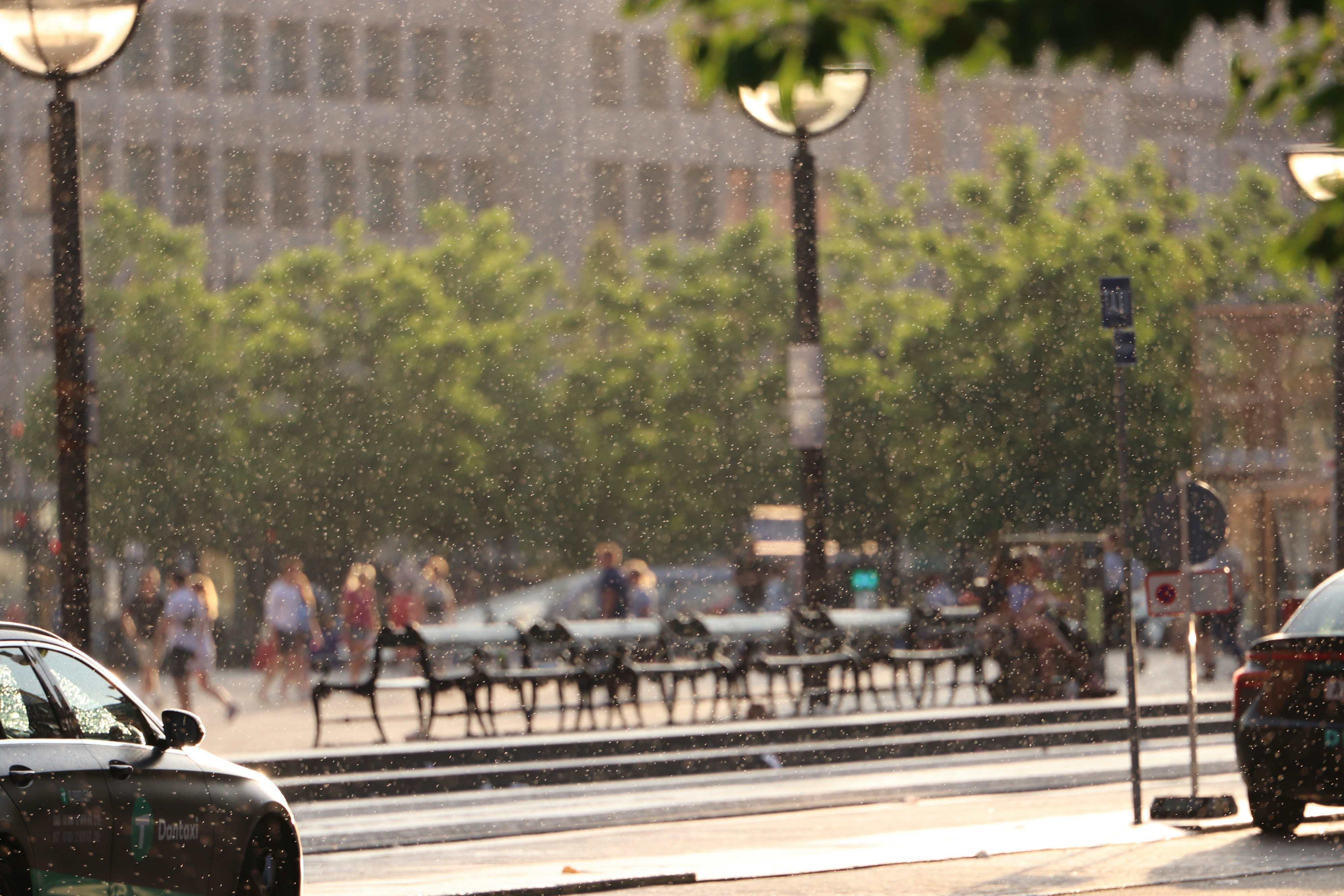 Photo by Zoe Ansari with Canon EOS 77D