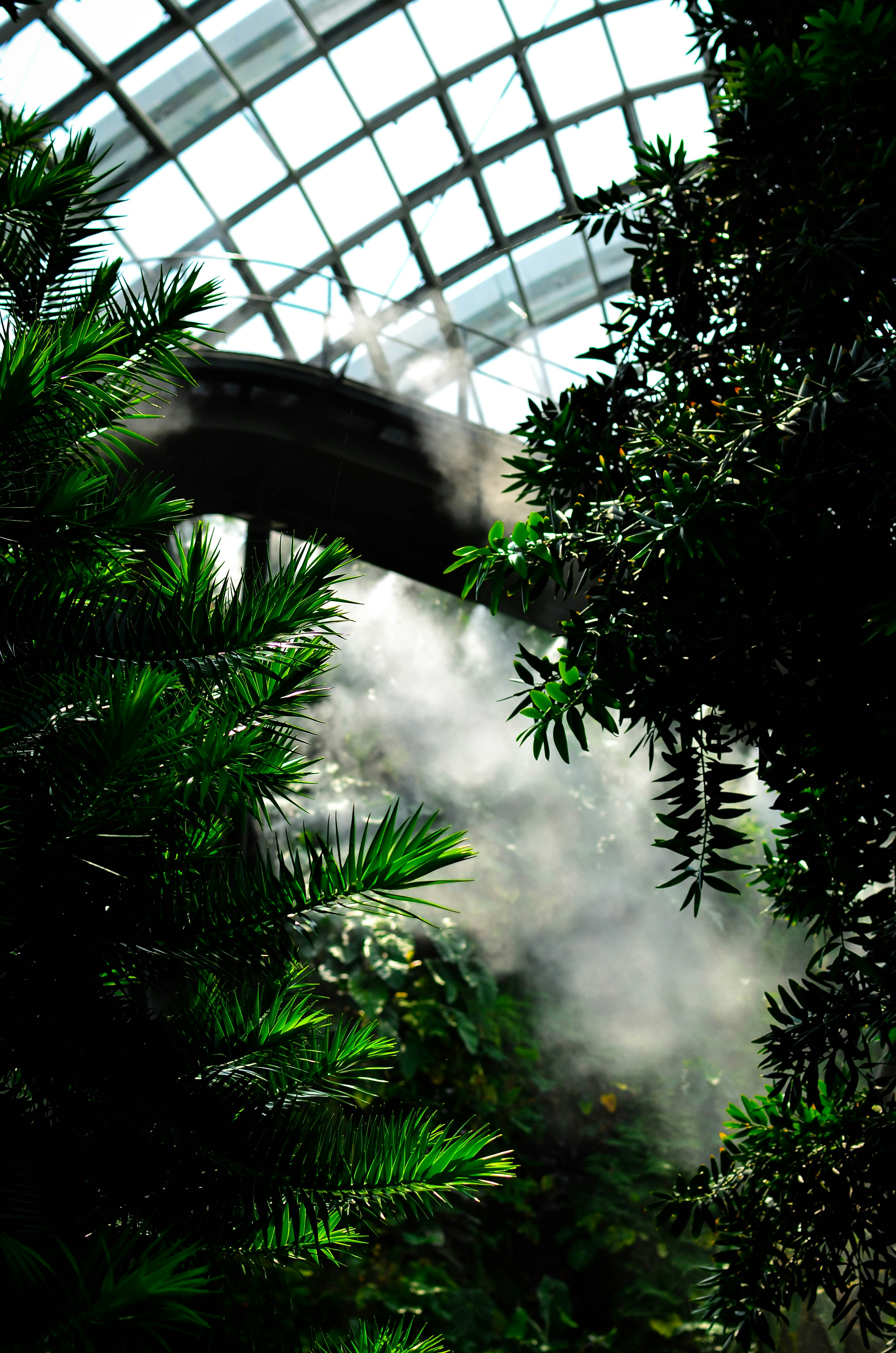 Interior Greenery