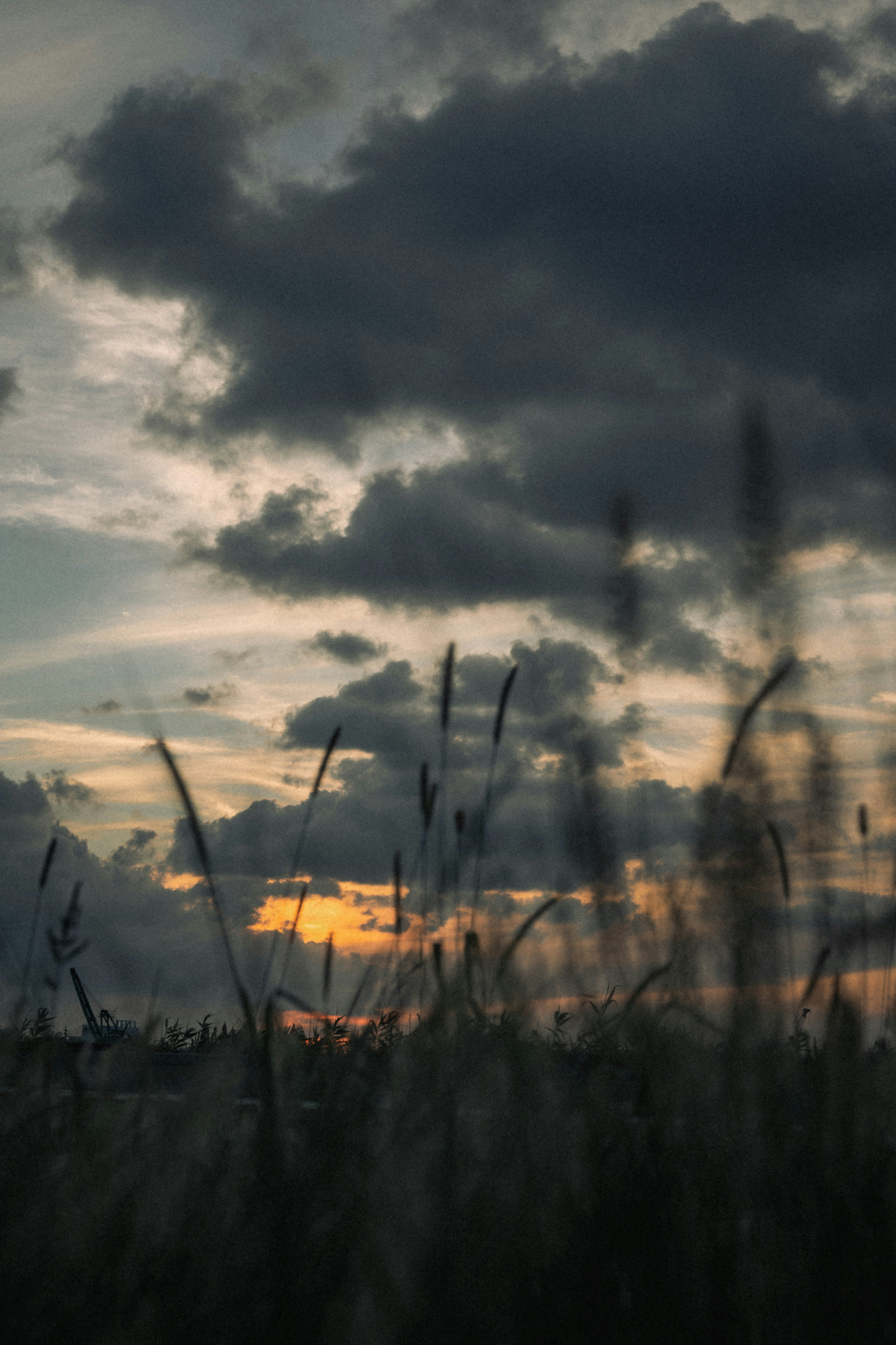 Dusk Over Tall Grasses: Clouds Pale Between Horizon and Field