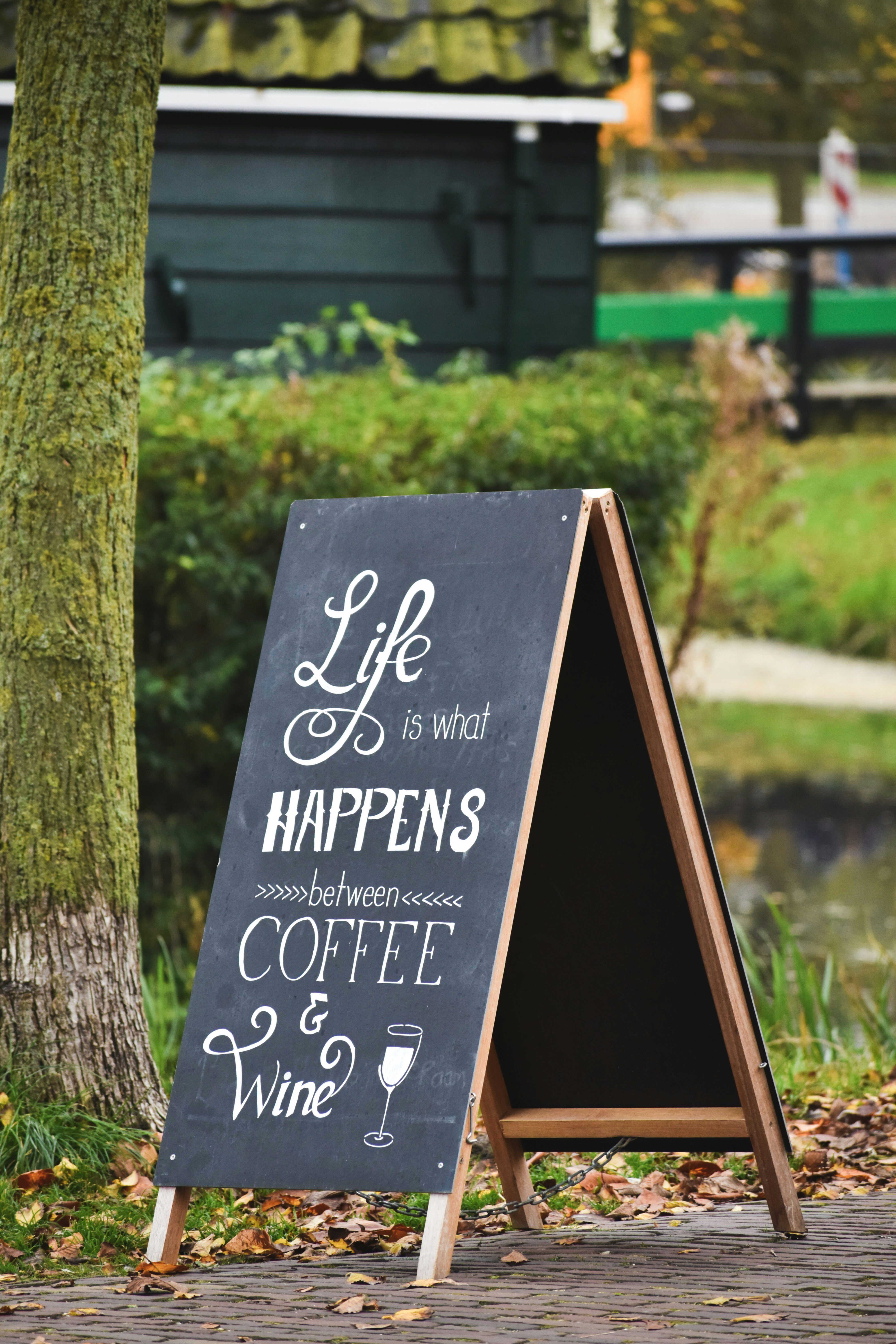 500+ Life Quote Pictures [HD] | Download Free Images on Unsplash