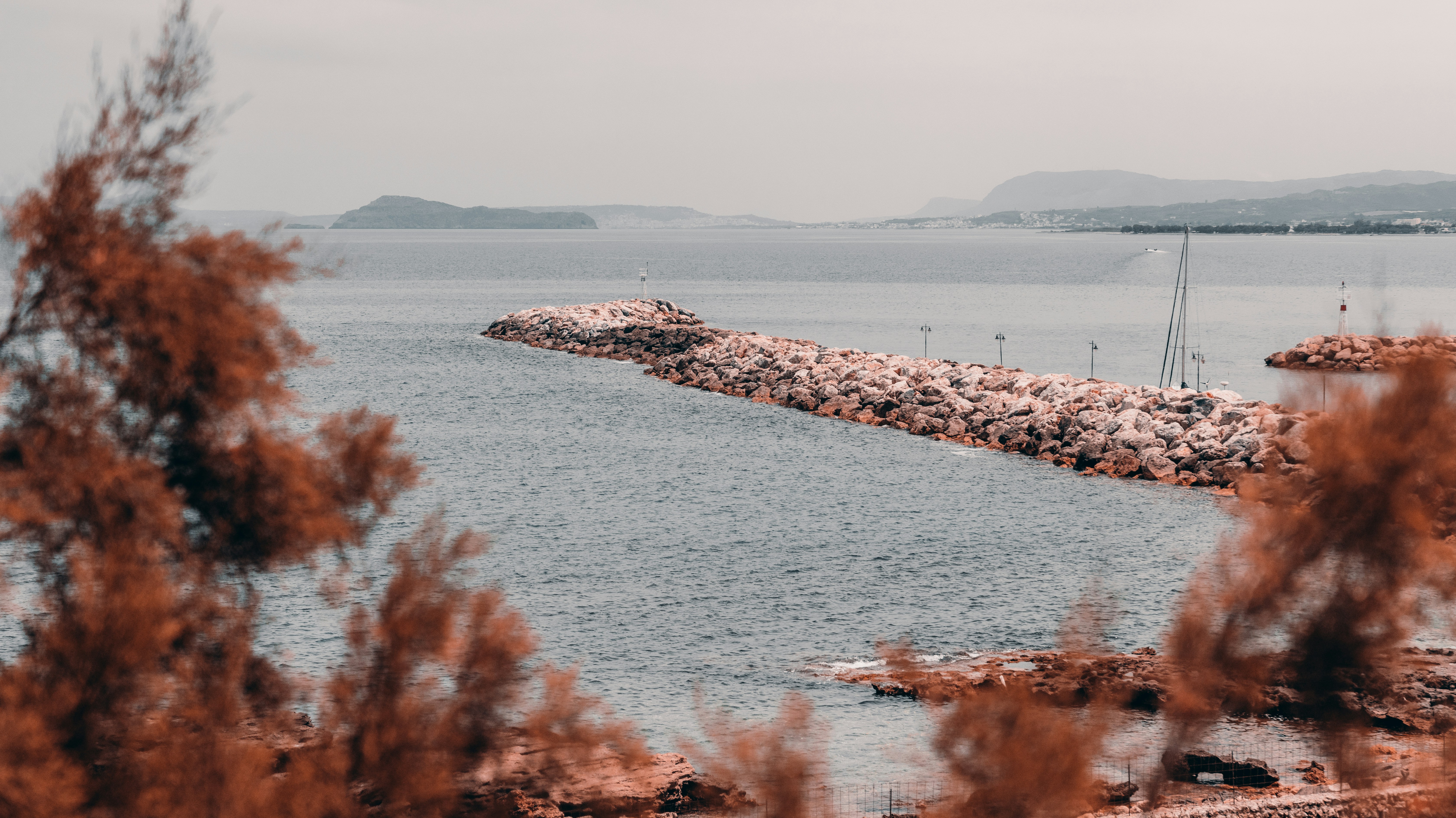 Rust-Hued Fronds Framing a Quiet Coastal Breakwater