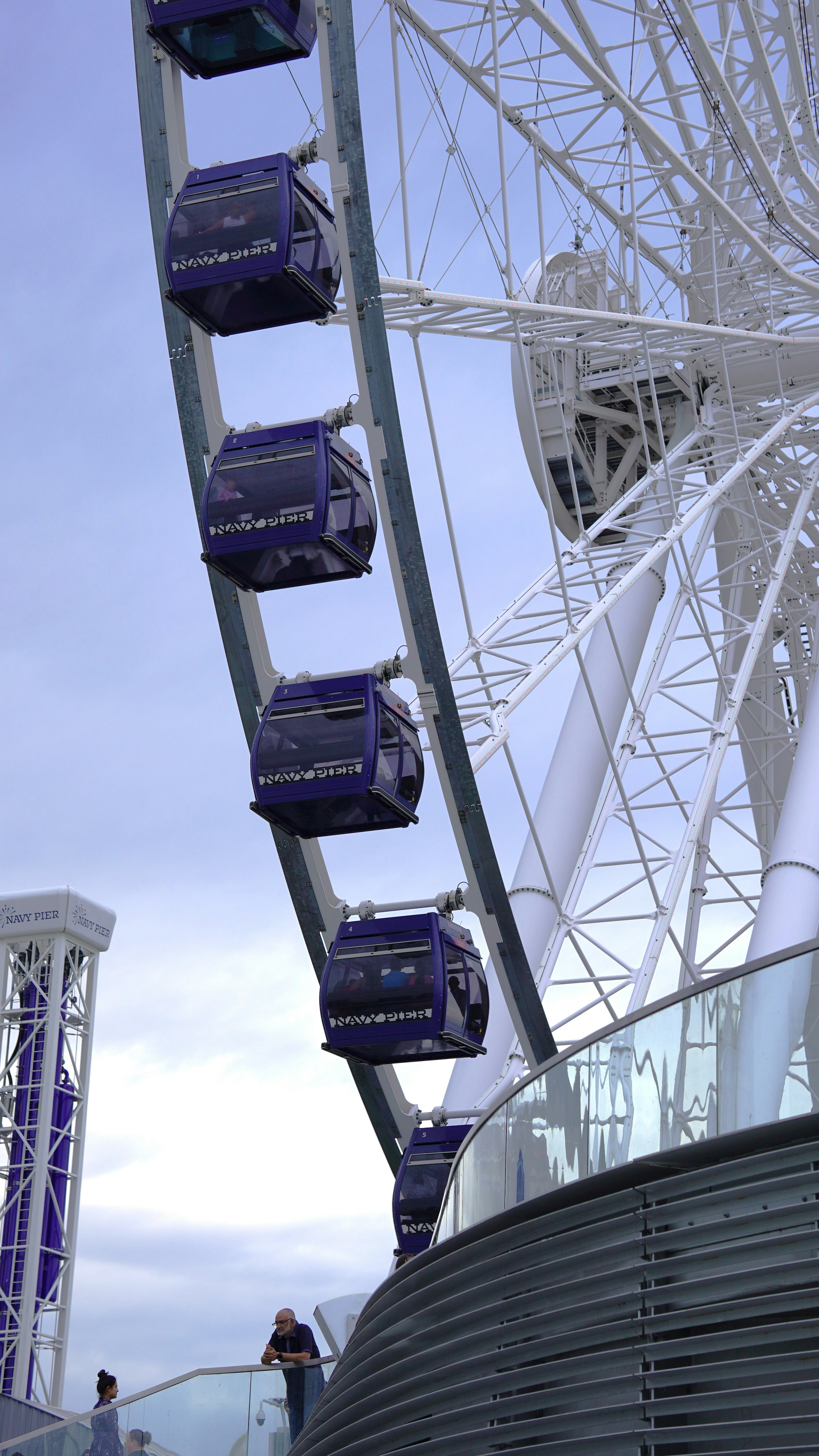Lavender Gondolas Ascend the Steel Spine of a Sky Ferris Wheel