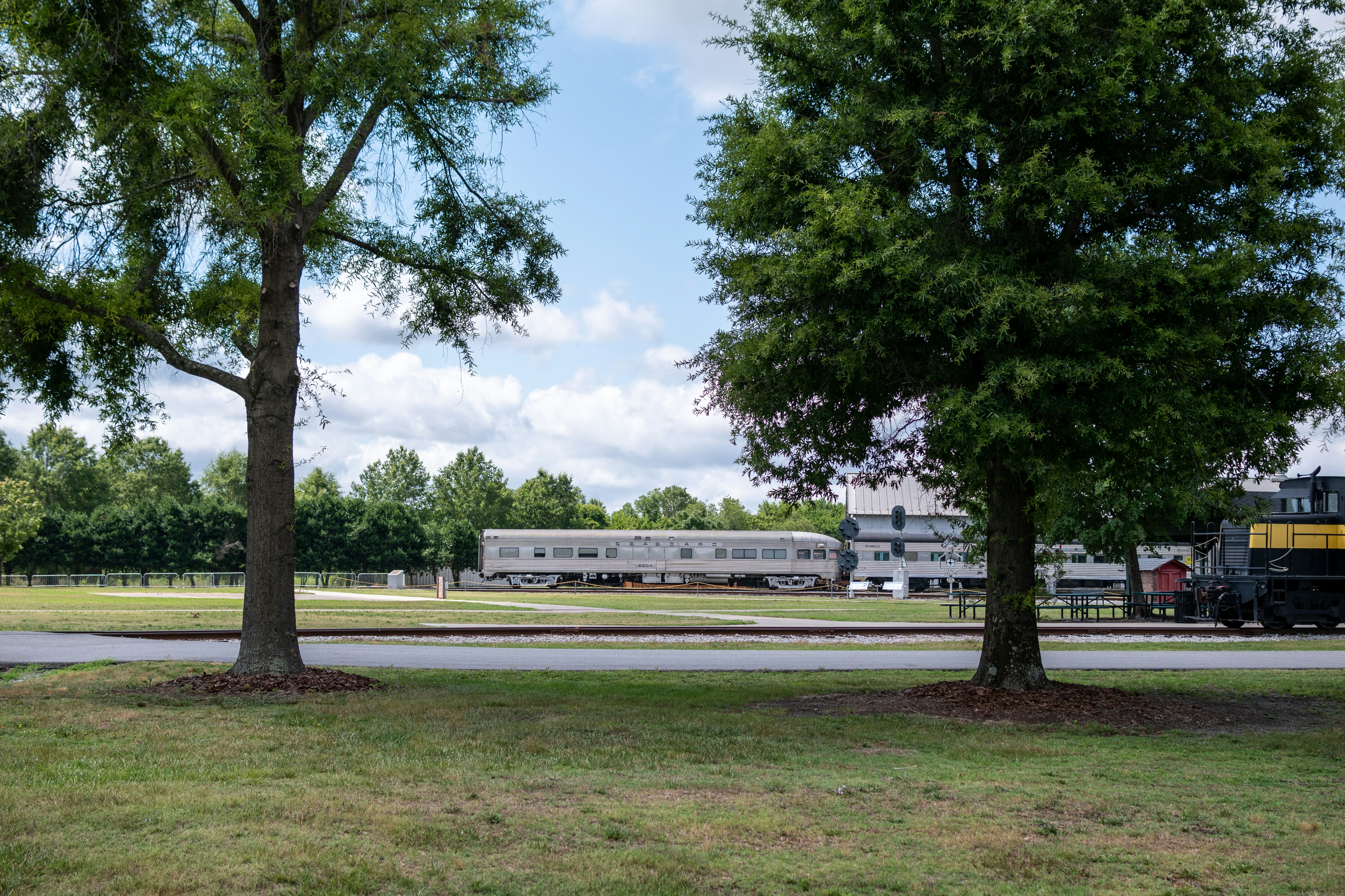 Train passing between two large trees on a grassy field under a partly cloudy sky.