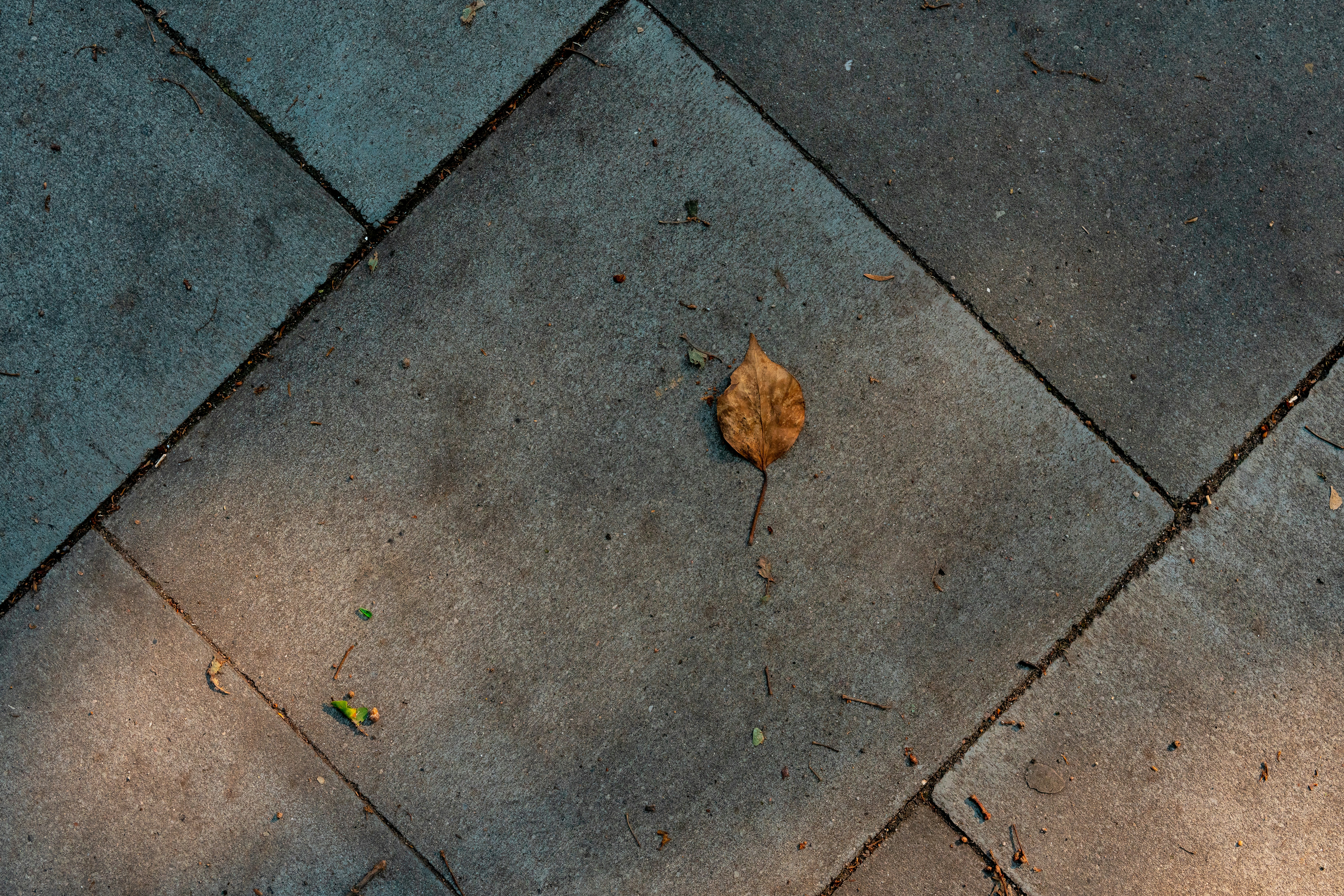 Photo by Lukas S with Sony Alpha 7R III