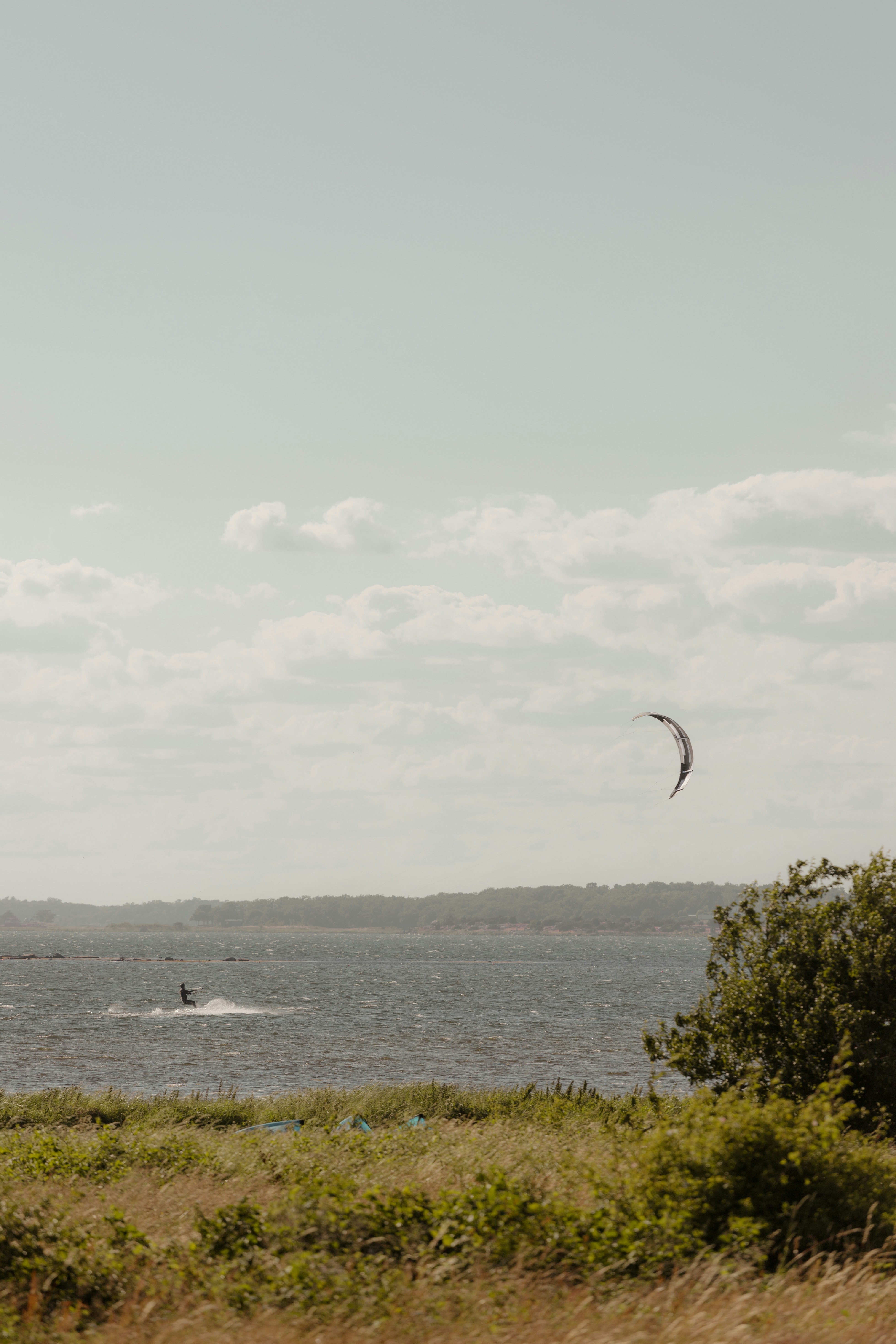 Kite of the Coastal Breeze