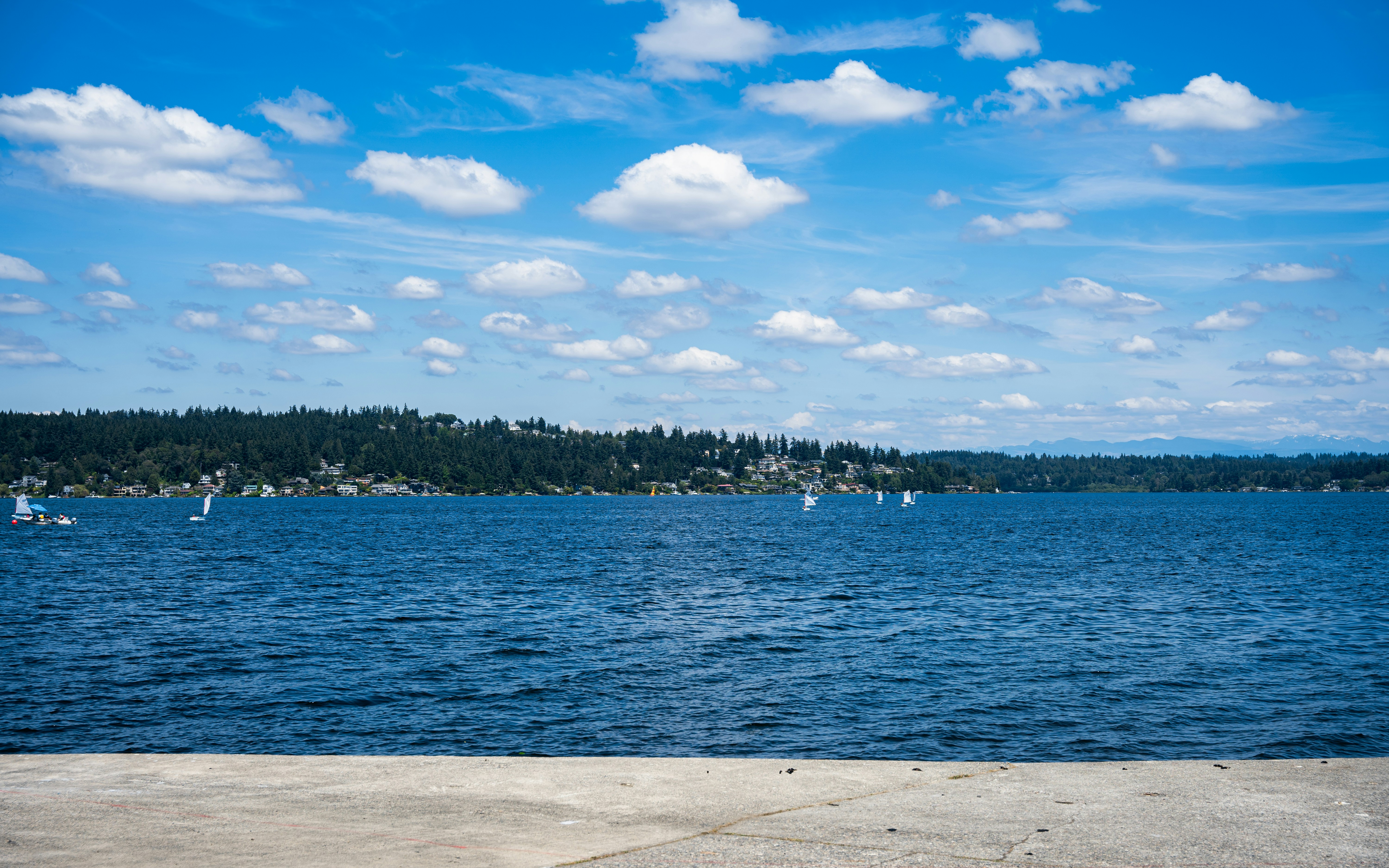A body of water with boats in it and a city in the background photo ...