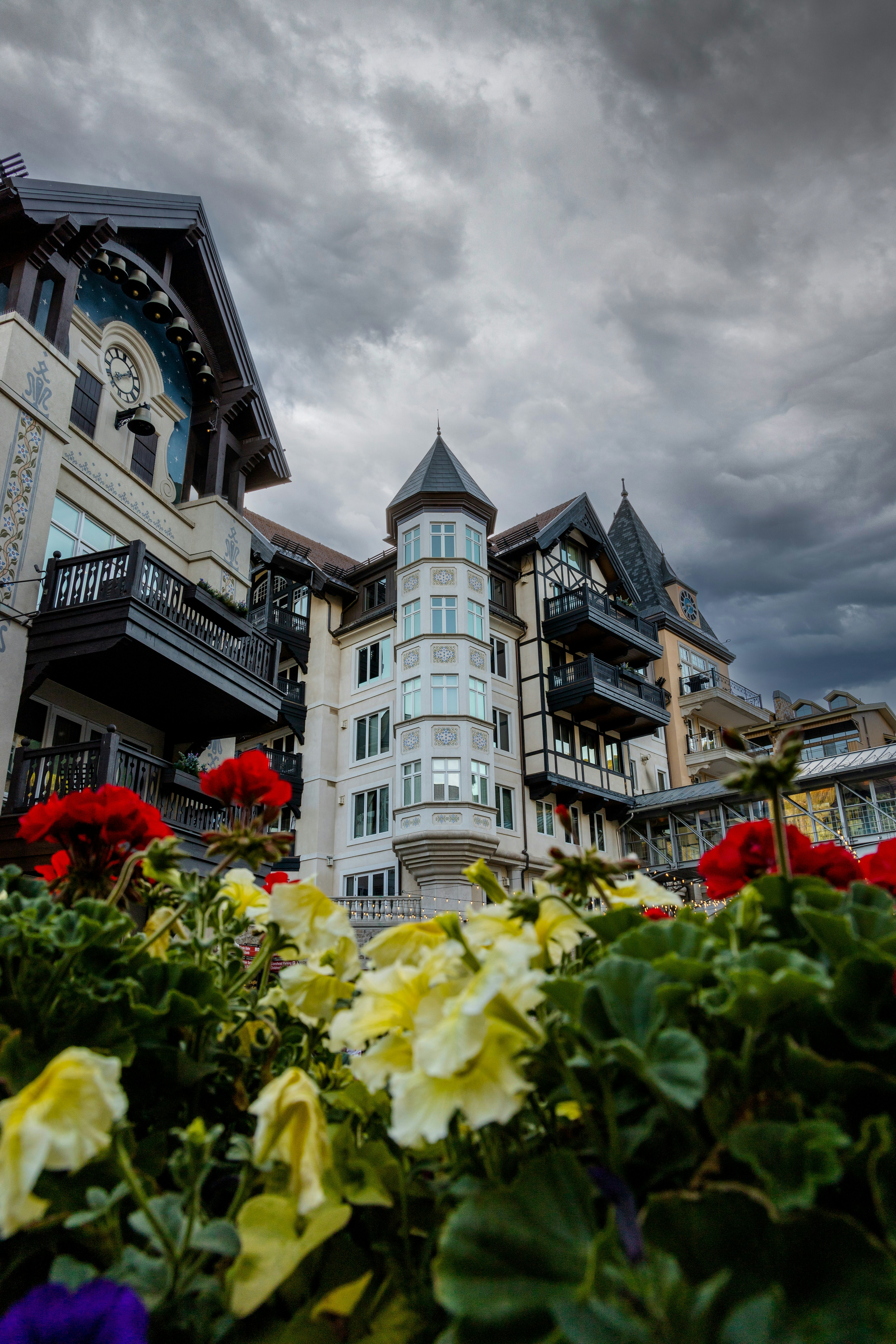 a group of buildings with flowers in front of them