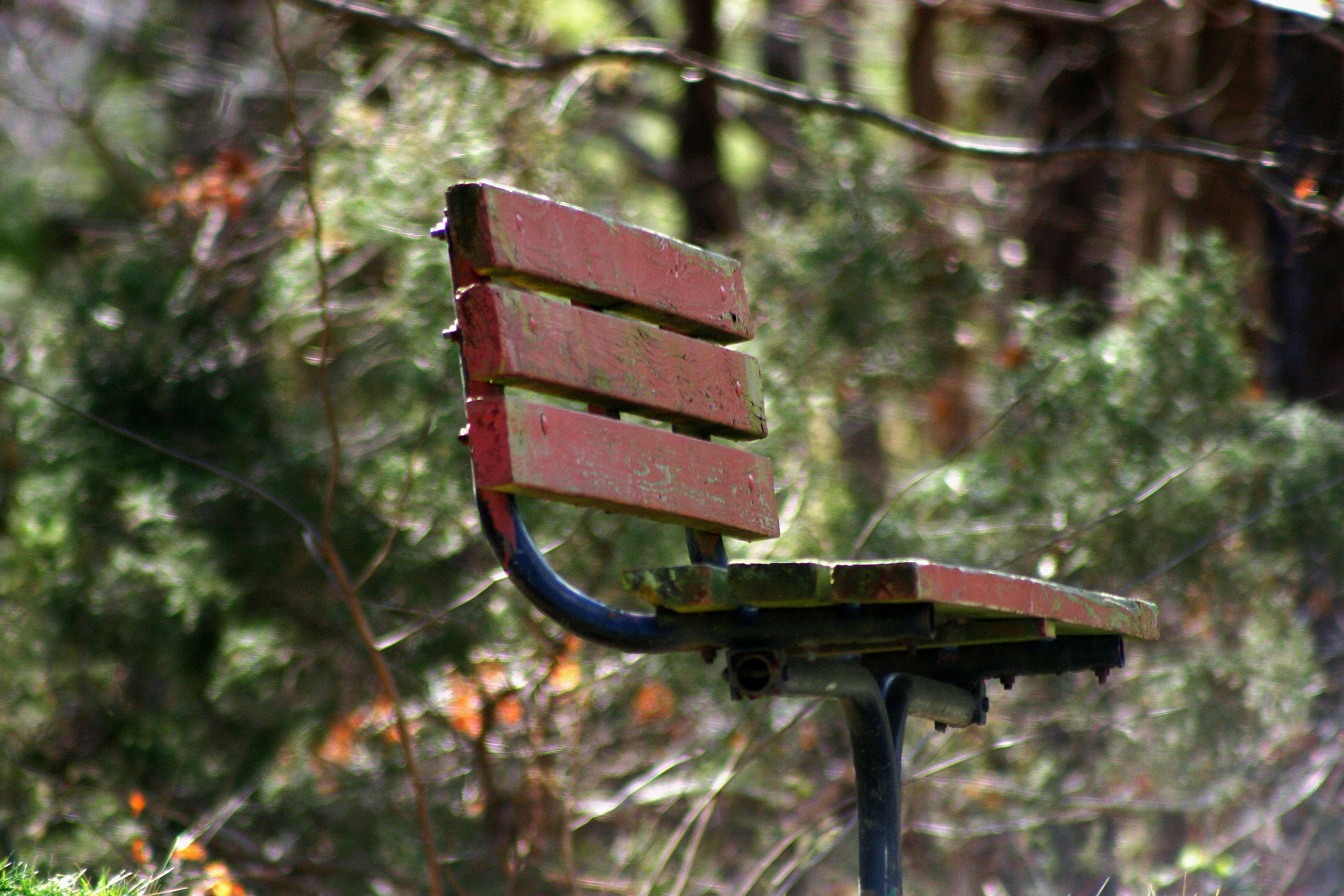 A weathered park bench stands solitary amidst a backdrop of blurred greenery, evoking a sense of nostalgia and quiet contemplation.