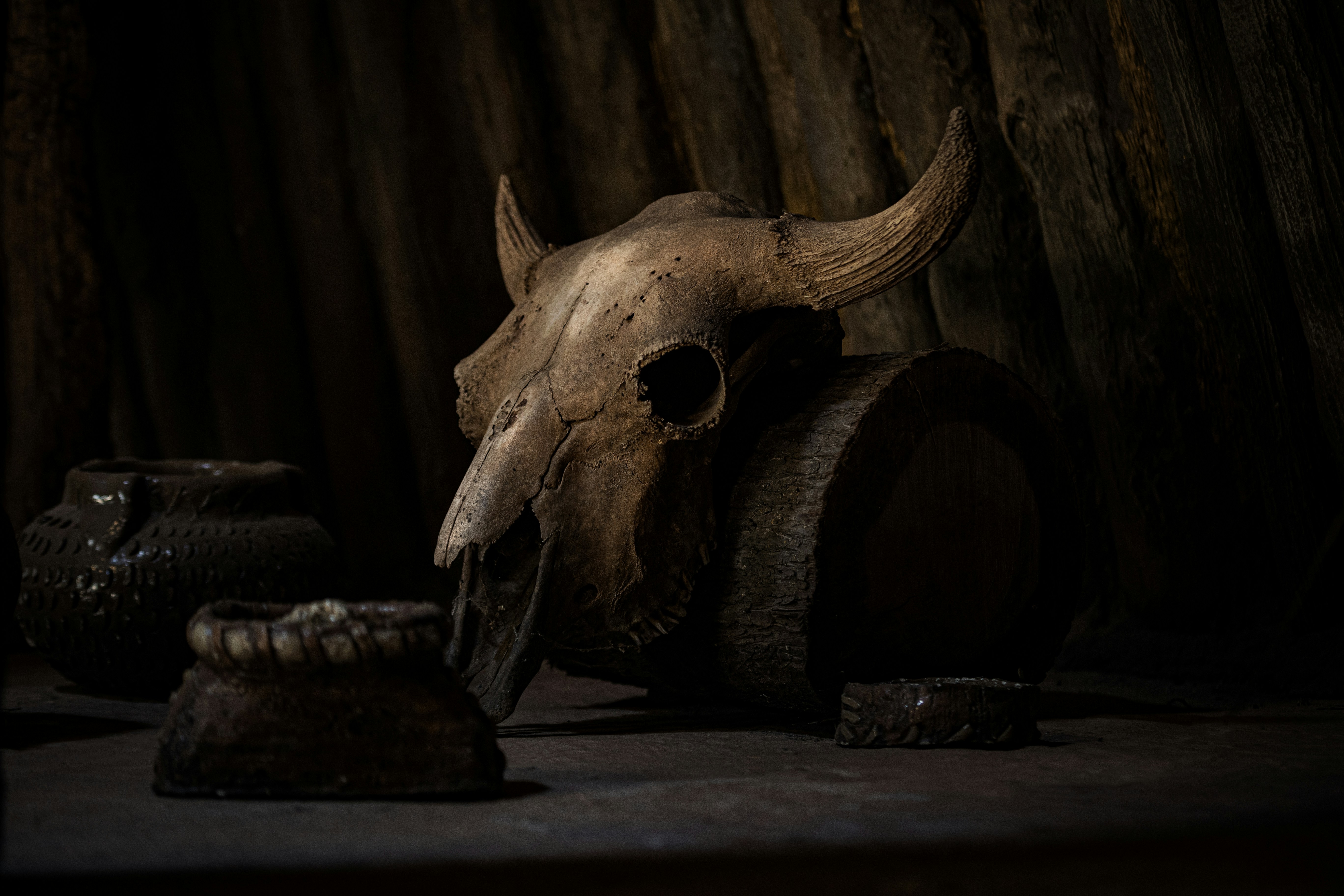 Lordaarvark Samus Birthday Pictures | Download Free Images on Unsplash