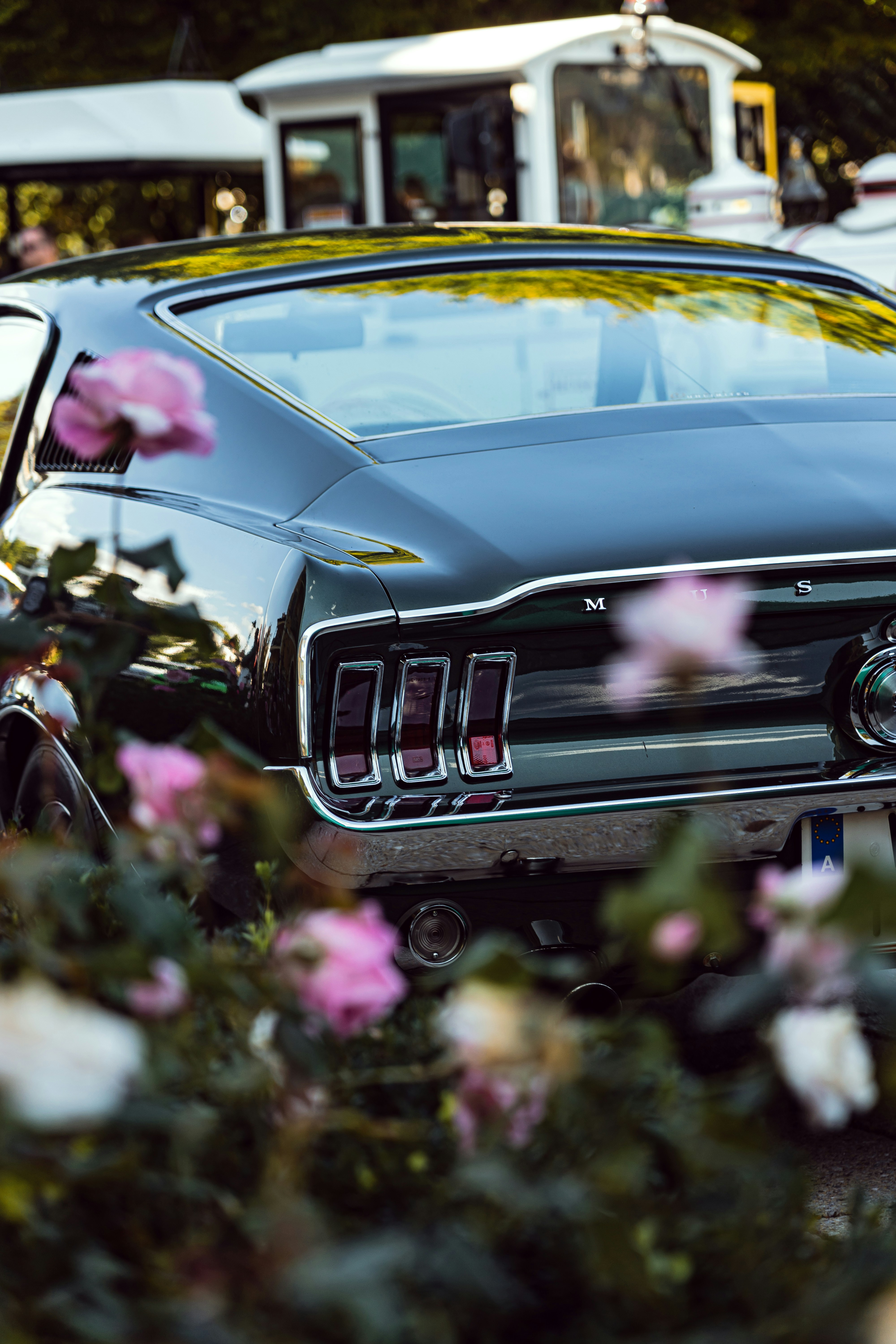 Elegance in Motion: The Timeless Mustang