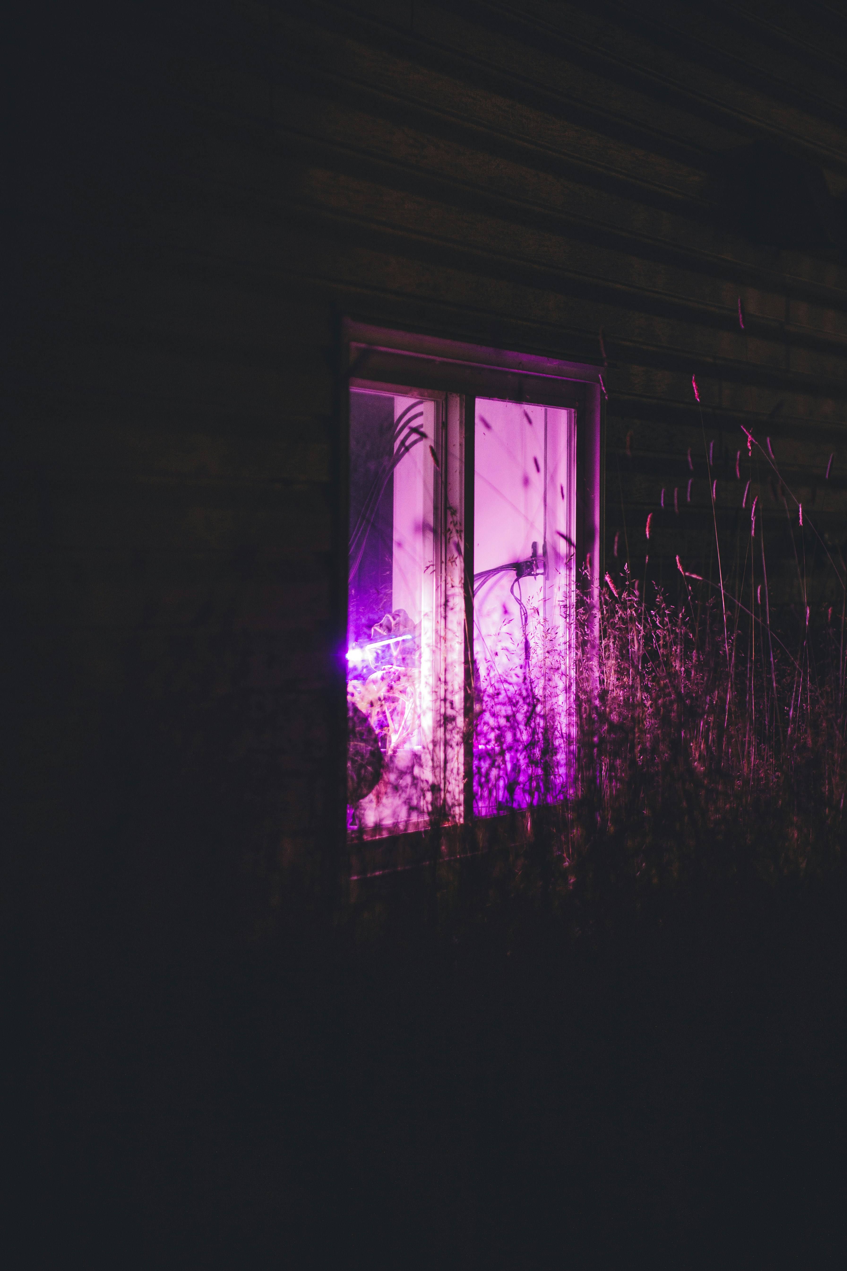 Purple-lit Window in a Quiet Night Cabin