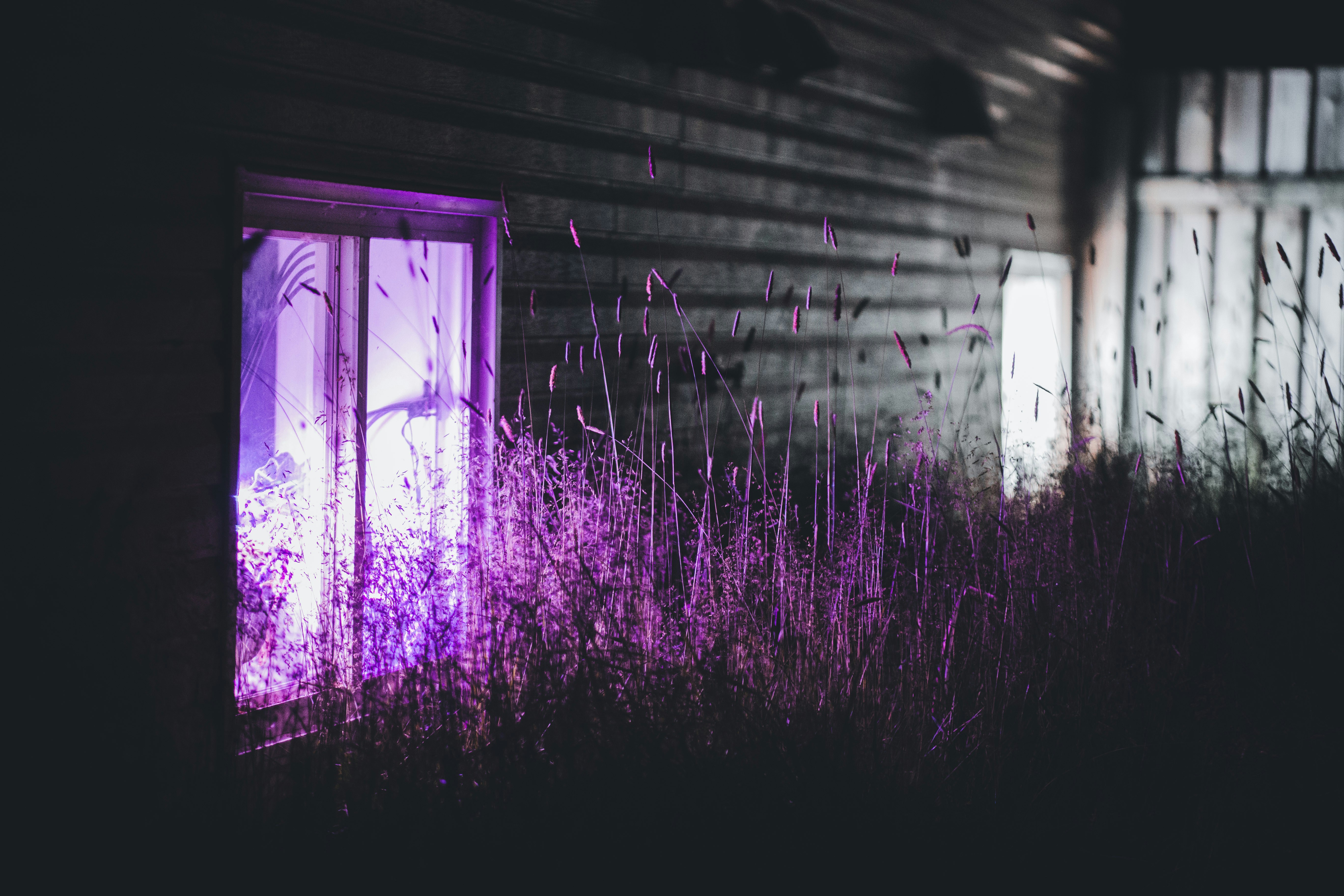 Violet Window Glow in a Shadowed Barn